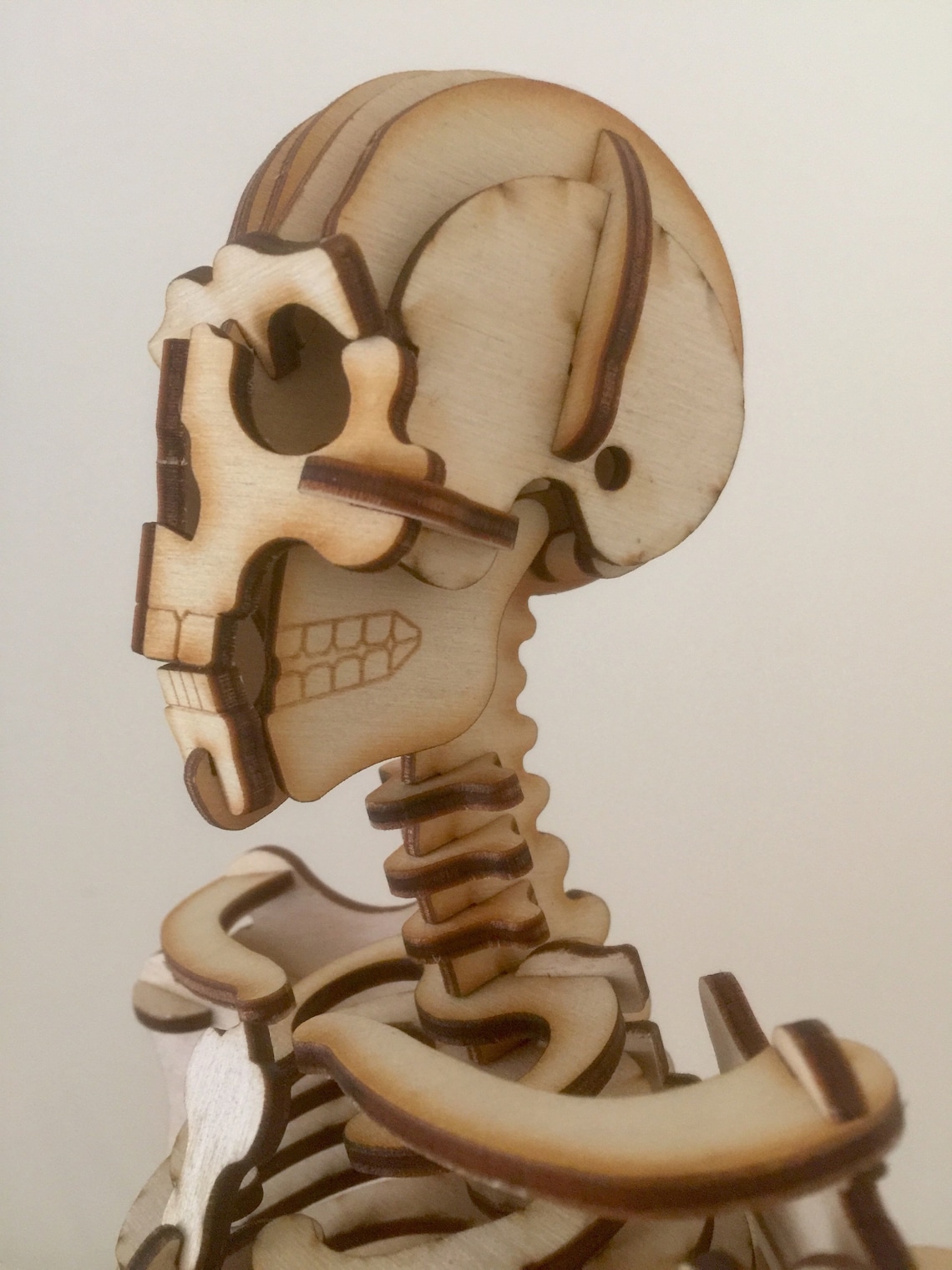 Detailed Human Skeleton 3D Puzzle Birch Wood Over 100 Pieces | Etsy