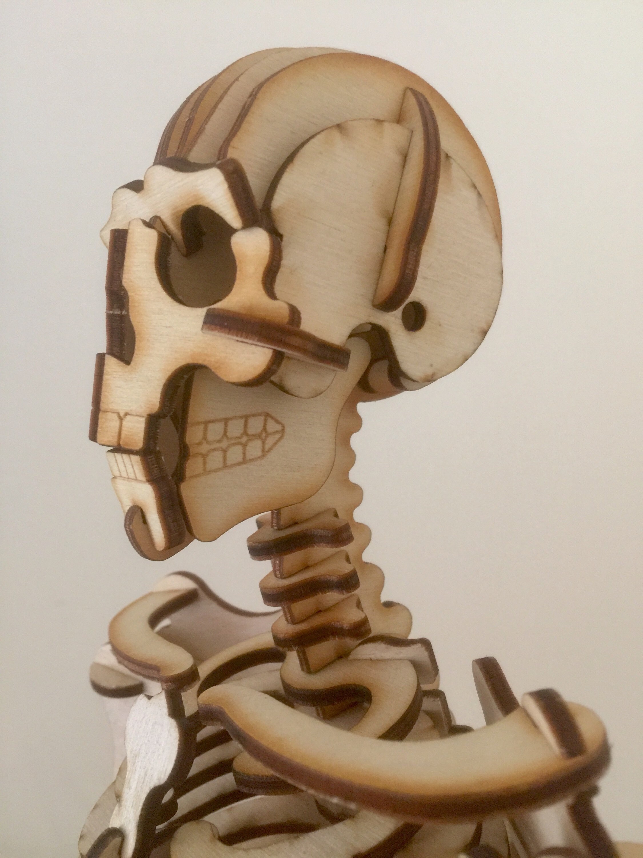 Detailed Human Skeleton 3D Puzzle Birch Wood Over 100 Pieces | Etsy