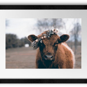 Victor Ludorum- Cow in Floral Headcrown - Etsy