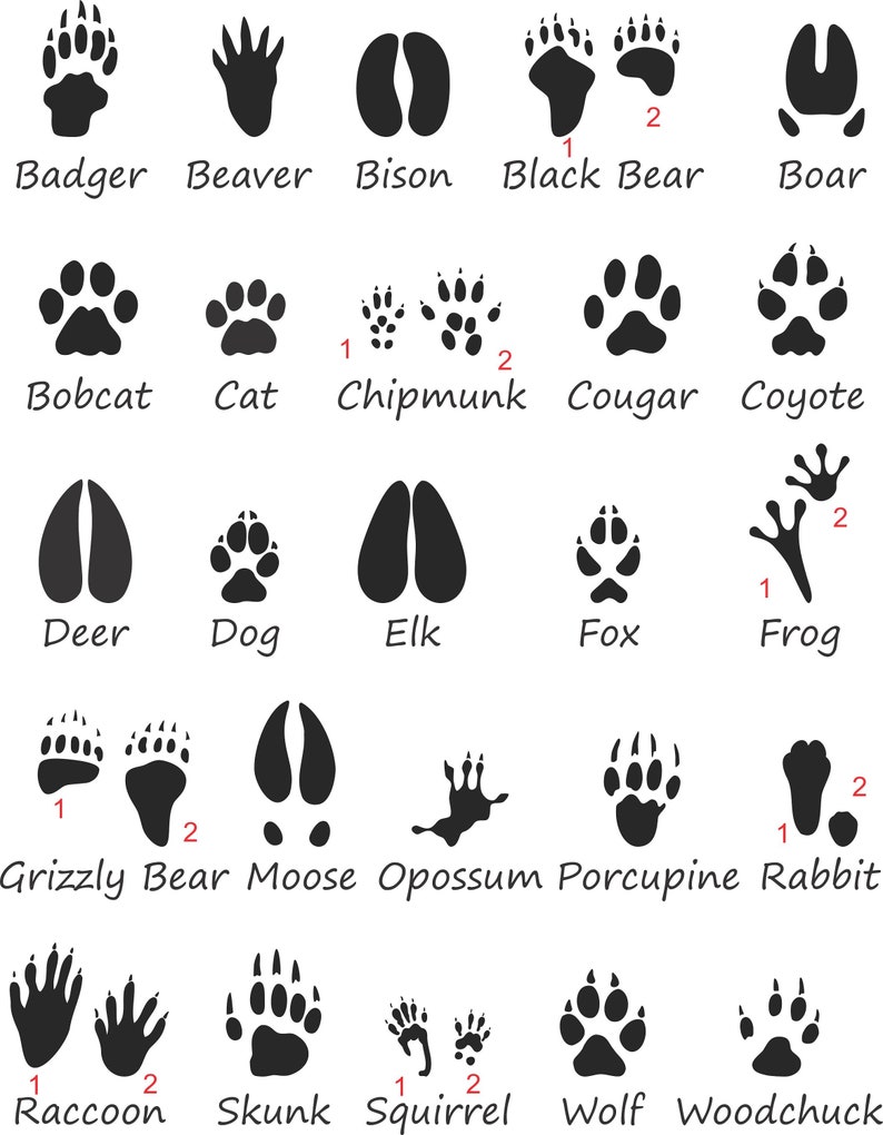Animal Tracks Vinyl Decal, Wildlife Tracks Vinyl Decal - Etsy