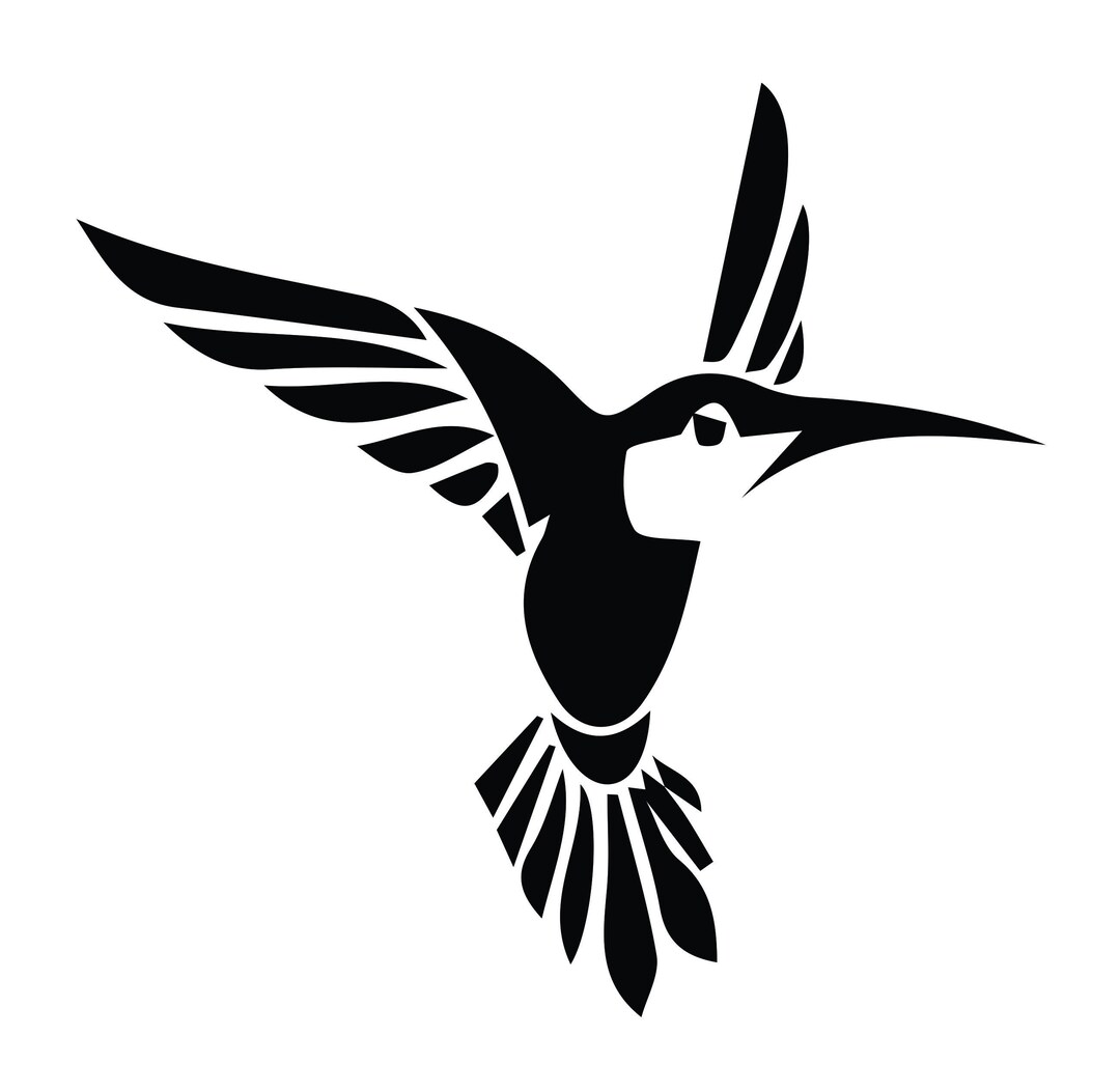 Hummingbird Vinyl Decal, Hummingbird Car Vinyl Decal - Etsy