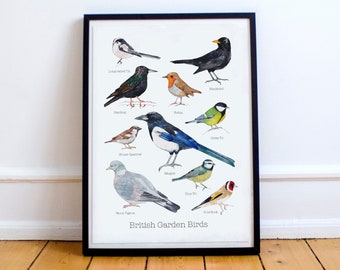 British Birds Poster - Etsy UK