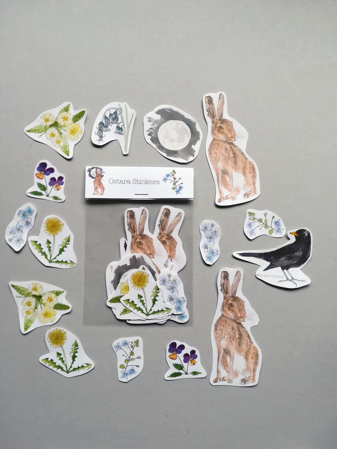 Biodegradable Easter Stickers: Spring Flowers & Hare, Pack of 14 - Etsy