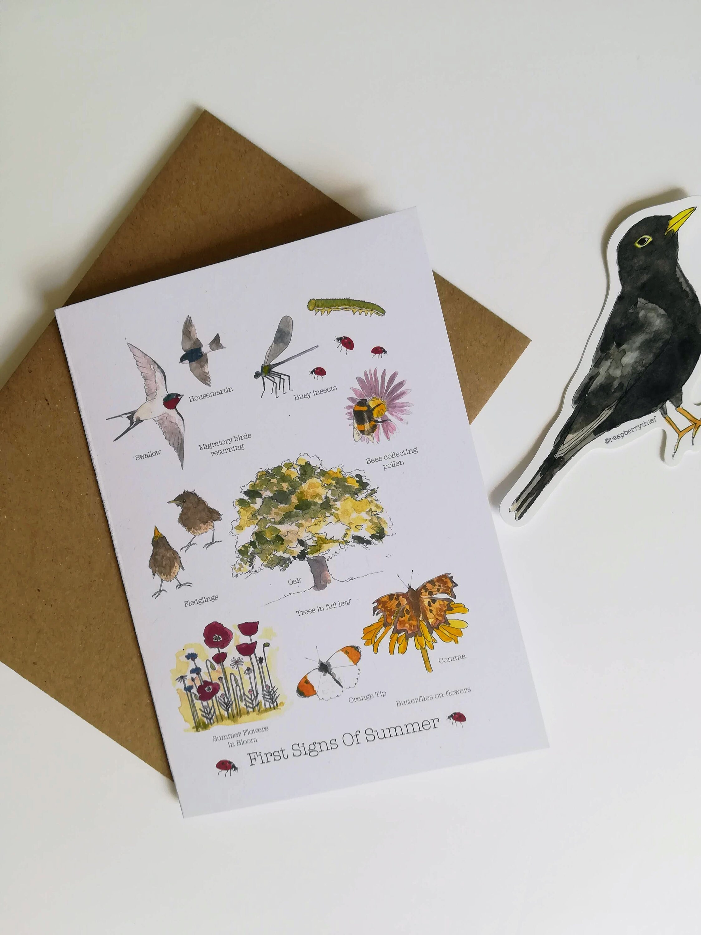 First Signs of Summer Greetings Card Nature Birthday Card - Etsy UK