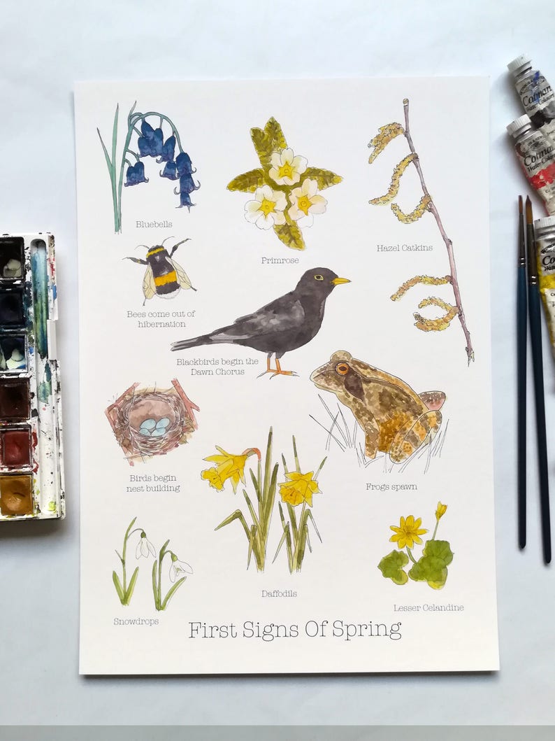 First Signs of Spring A4 Print • Nature Lovers Gift • Spring Print ...