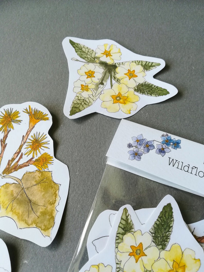 Spring Wildflower Stickers Pack of 9 Nature Stickers - Etsy