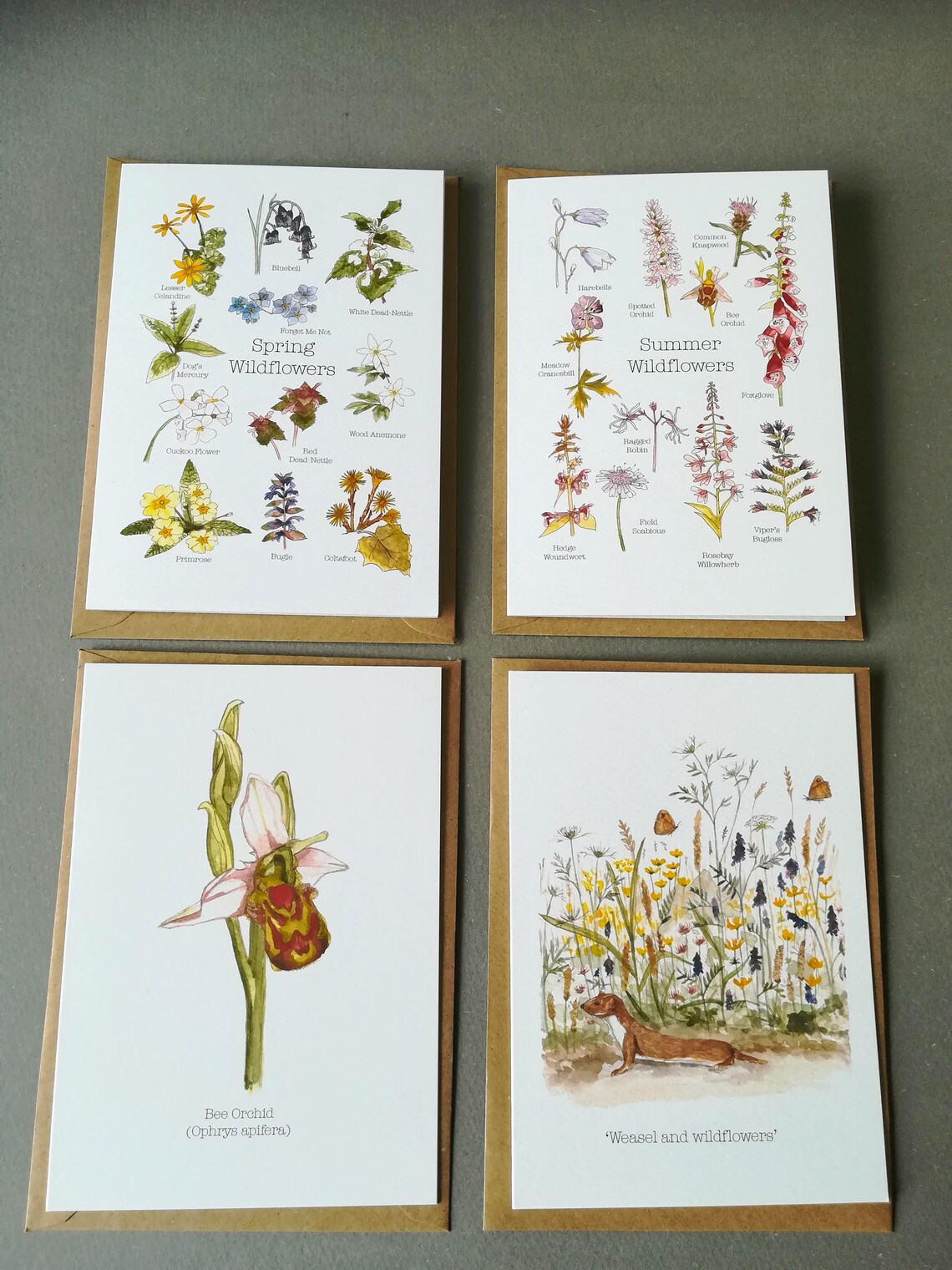Pack of 10 Nature Greetings Cards Nature Birthday Cards | Etsy UK