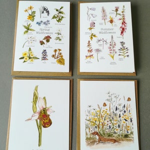 Pack of 10 Nature Greetings Cards • Nature Birthday Cards • Nature ...