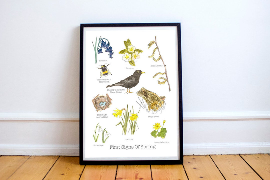 First Signs of Spring A4 Print • Nature Lovers Gift • Spring Print ...