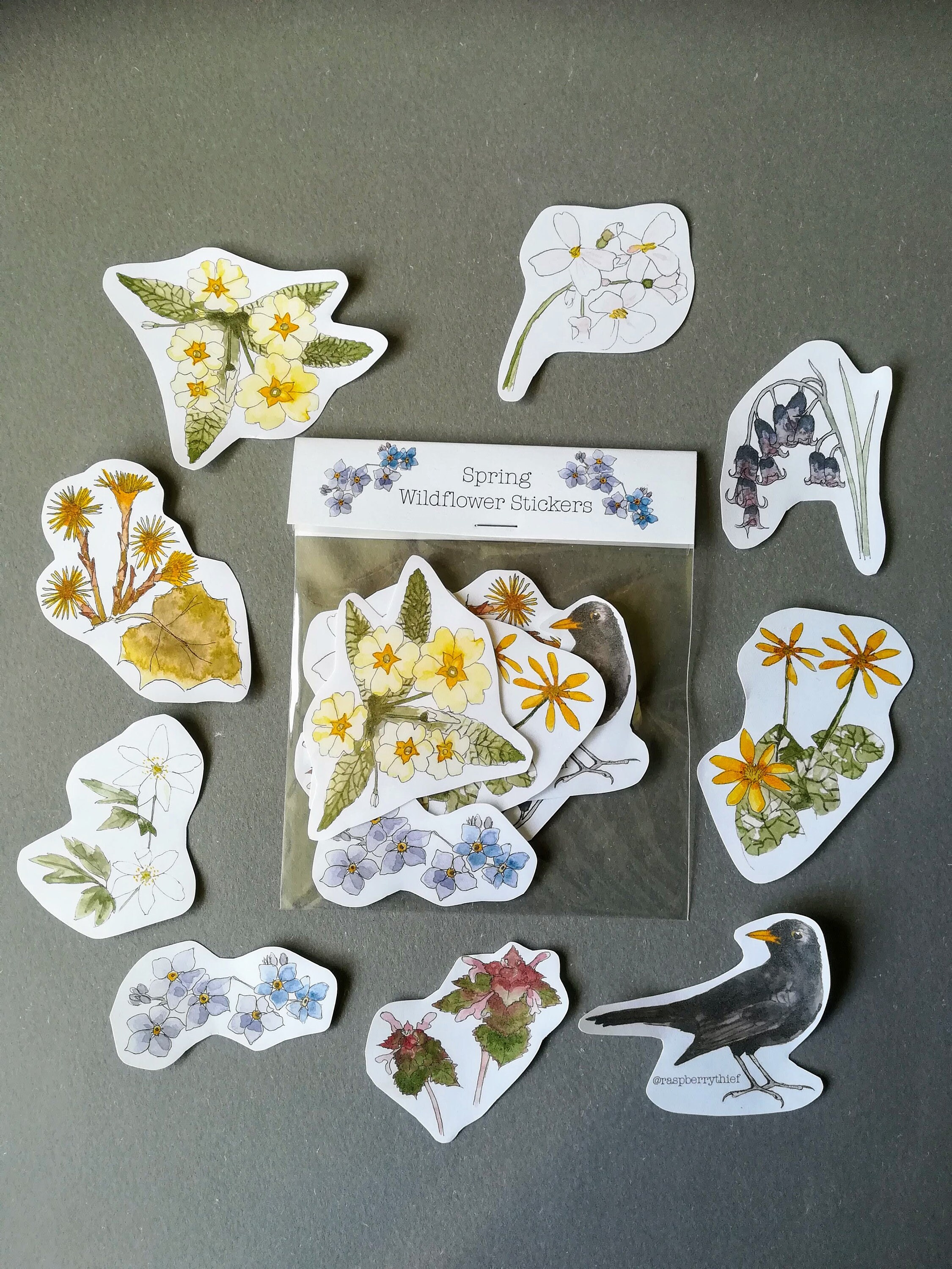 Spring Wildflower Stickers Pack of 9 Nature Stickers - Etsy