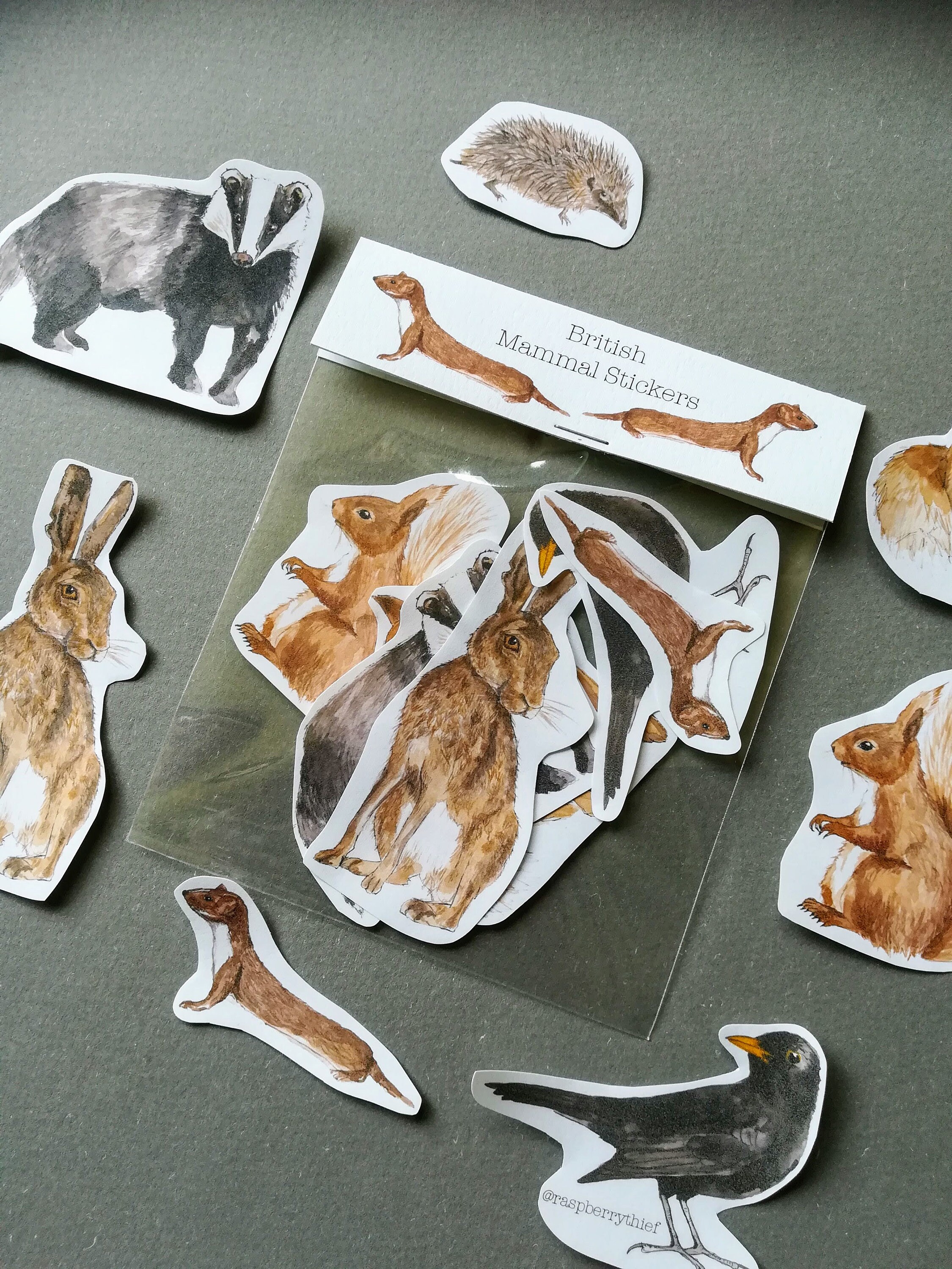 British Mammal Stickers: Watercolor Nature Stickers, Eco-friendly Set ...