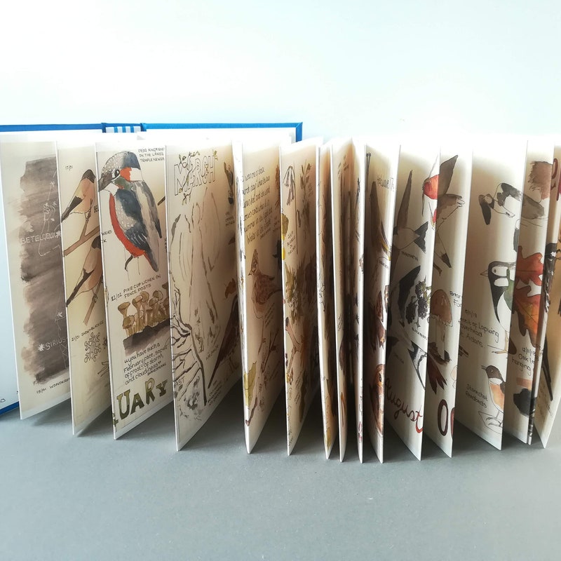 Concertina Book - Etsy