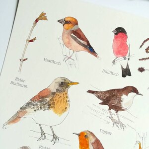 Winter in Yorkshire A5 Print • Nature Lovers Gift • British Bird Print ...