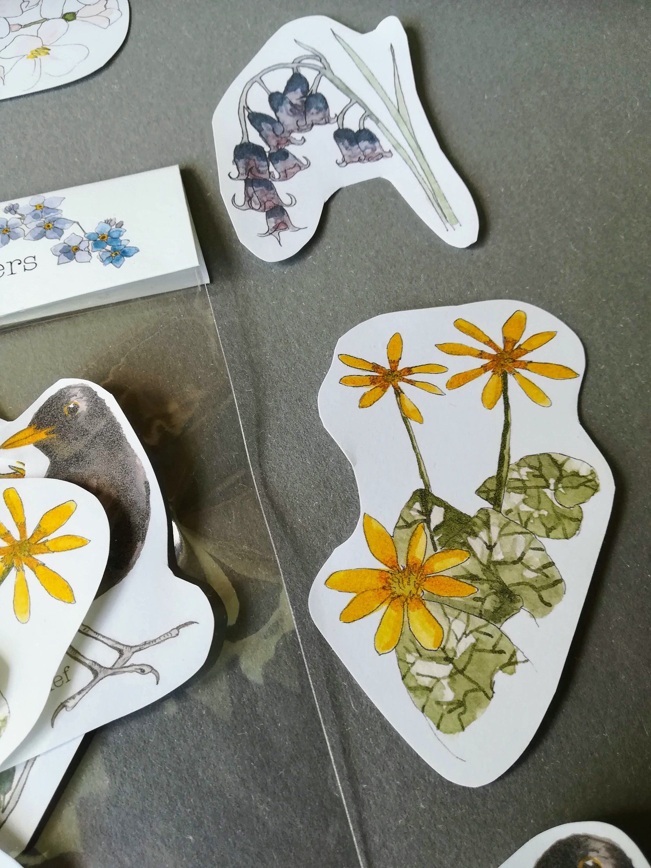 Spring Wildflower Stickers Pack of 9 Nature Stickers - Etsy