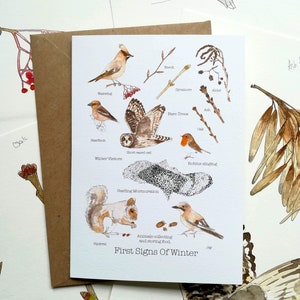 First Signs of Winter Greetings Card Nature Lovers Card | Etsy