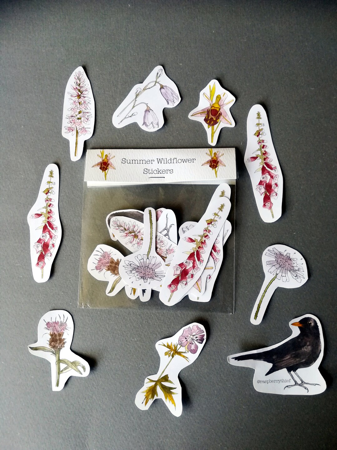 Summer Wildflower Stickers: British Nature, Scrapbooking Stickers (9 ...