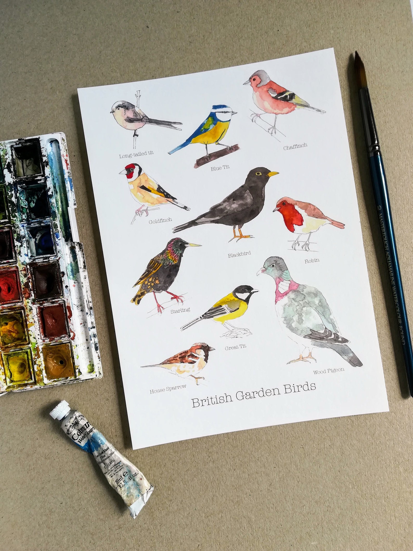 British Garden Birds A5 Print Nature Lovers Gift British - Etsy