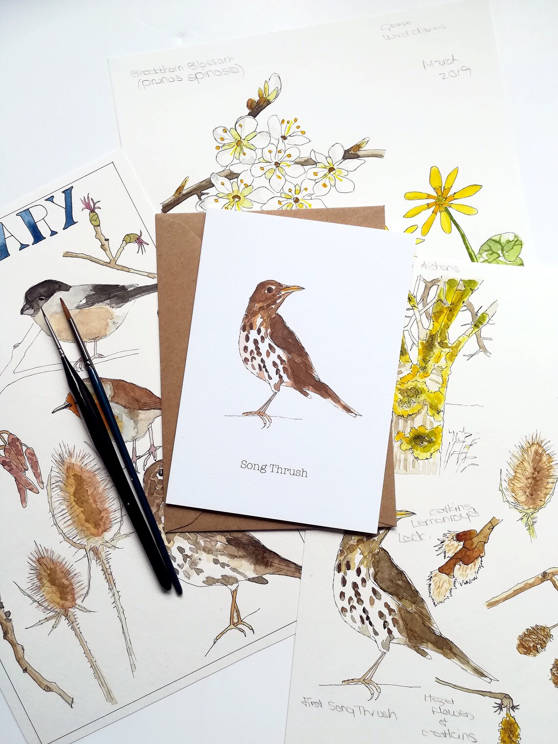 Song Thrush Watercolour Greetings Card • Personalised Nature Card ...