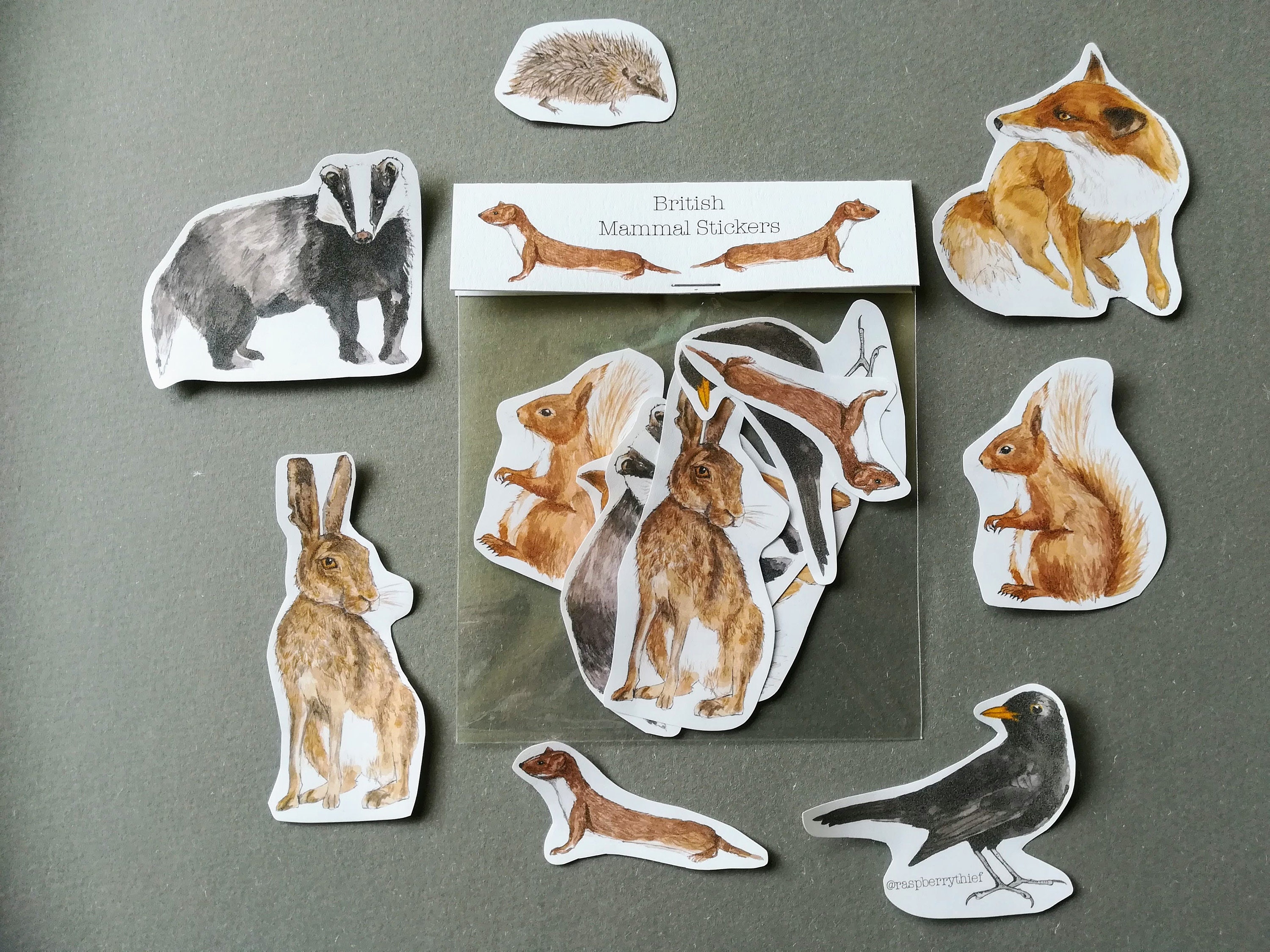 British Mammal Stickers: Watercolor Nature Stickers, Eco-friendly Set ...