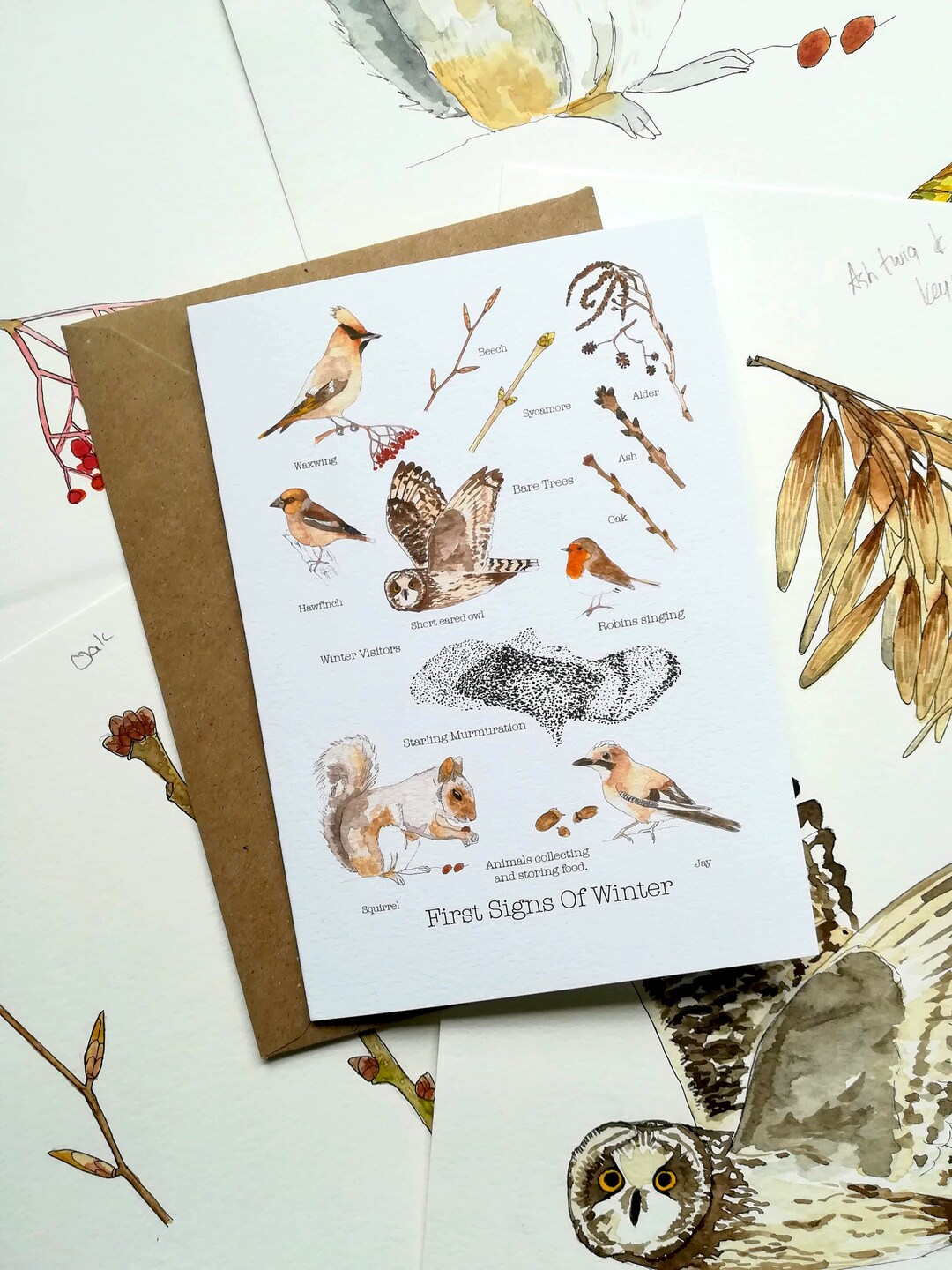 First Signs of Winter Greetings Card Nature Lovers Card - Etsy