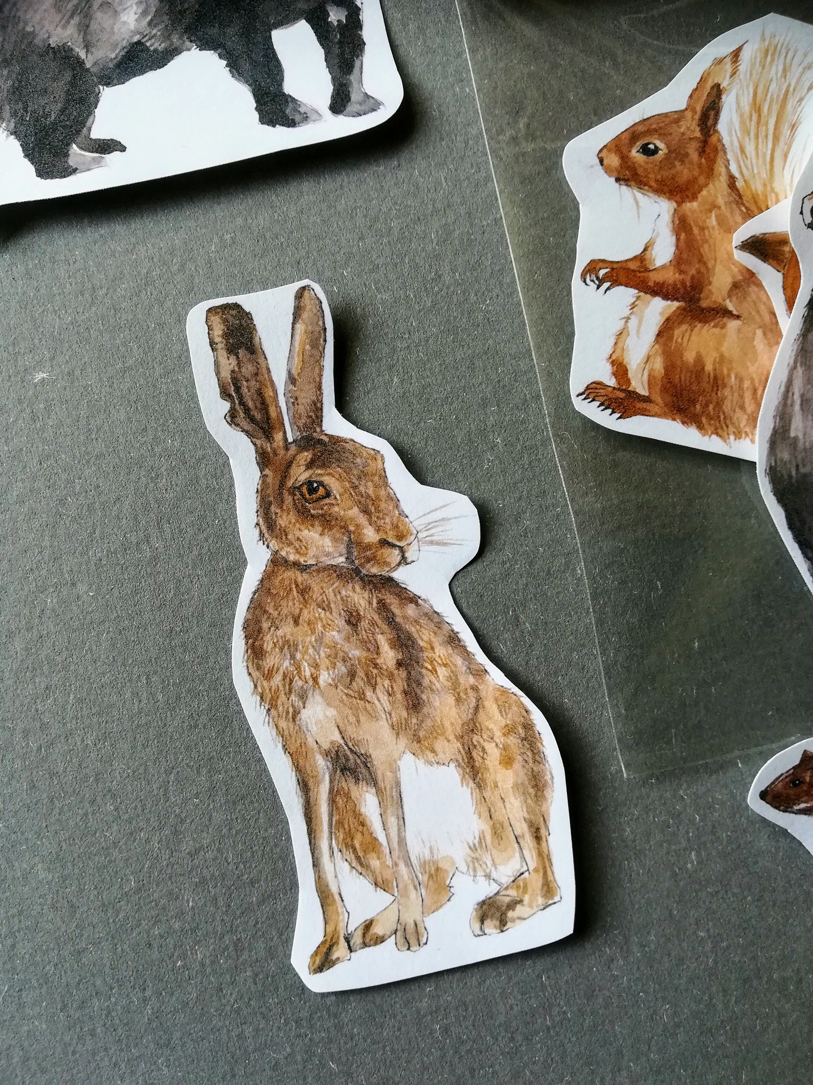 British Mammal Stickers: Watercolor Nature Stickers, Eco-friendly Set ...