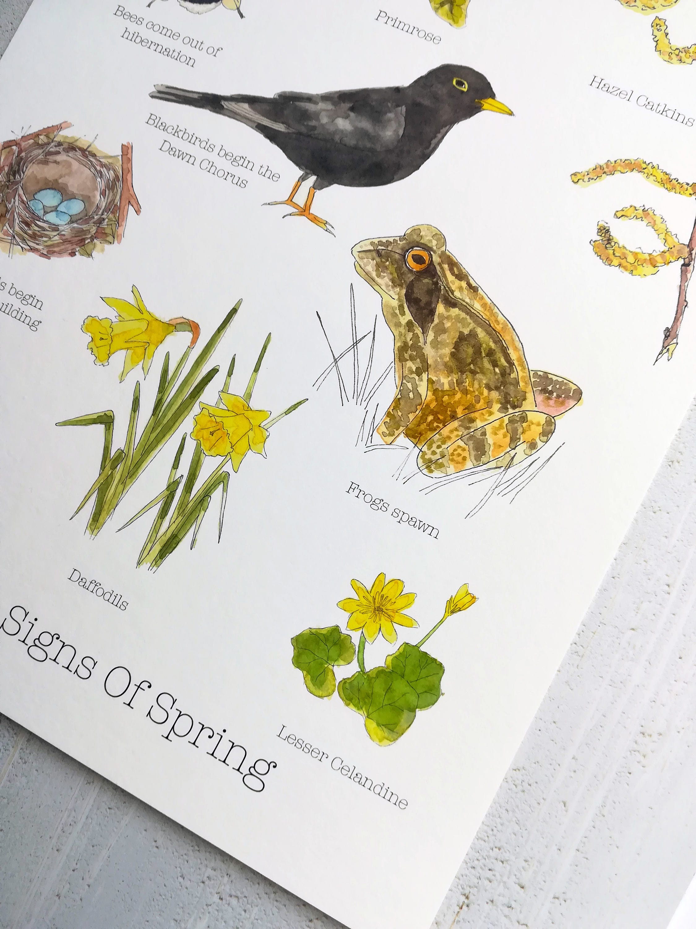 First Signs of Spring A4 Print • Nature Lovers Gift • Spring Print ...