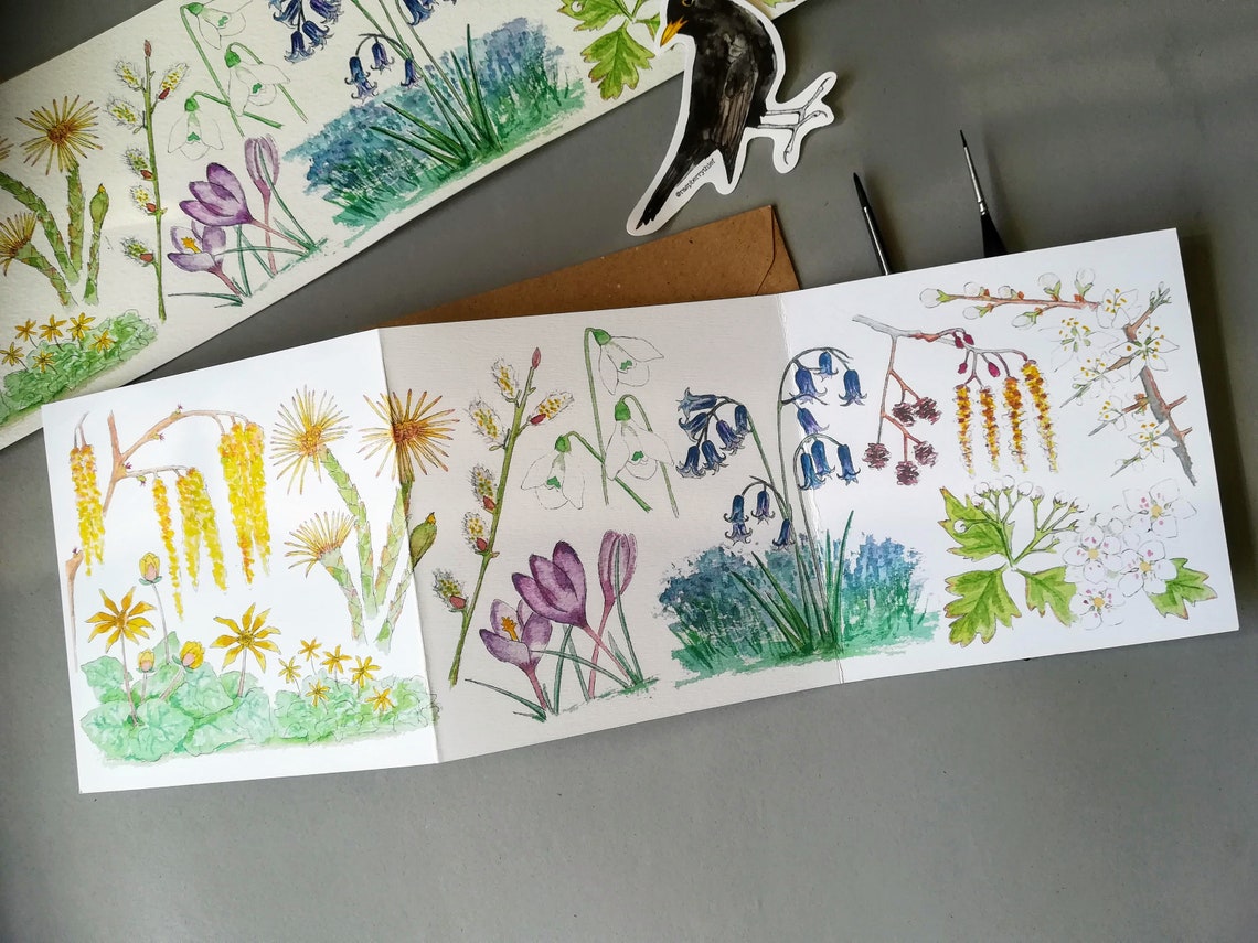 Spring Hope Concertina Card Spring Nature Card Wildflowers - Etsy UK