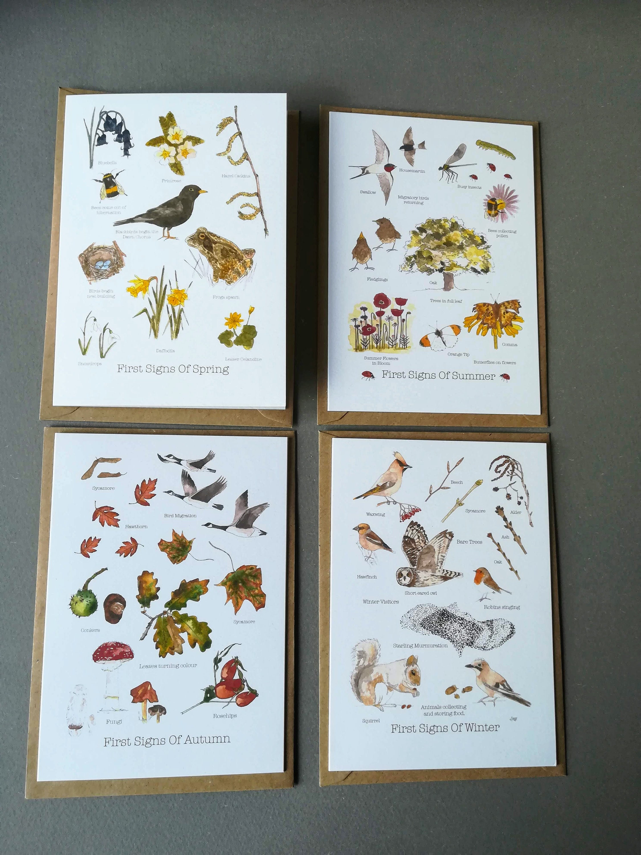 Pack of 10 Nature Greetings Cards Nature Birthday Cards | Etsy