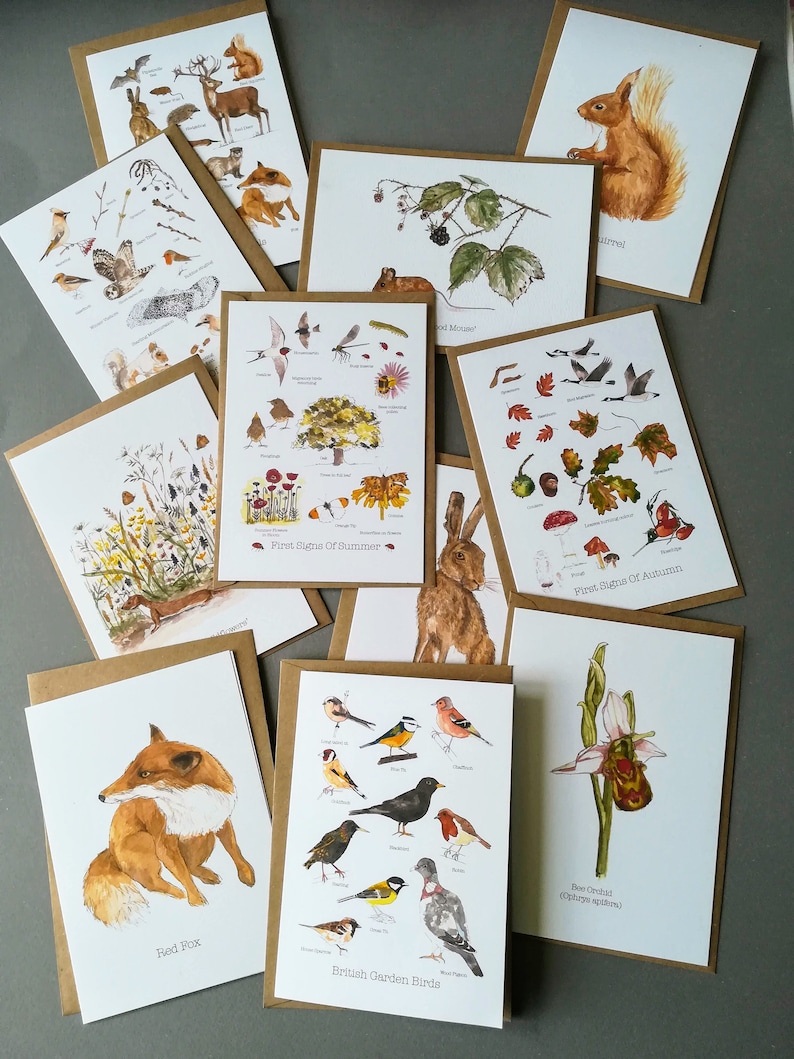 Pack of 10 Nature Greetings Cards Nature Birthday Cards | Etsy UK