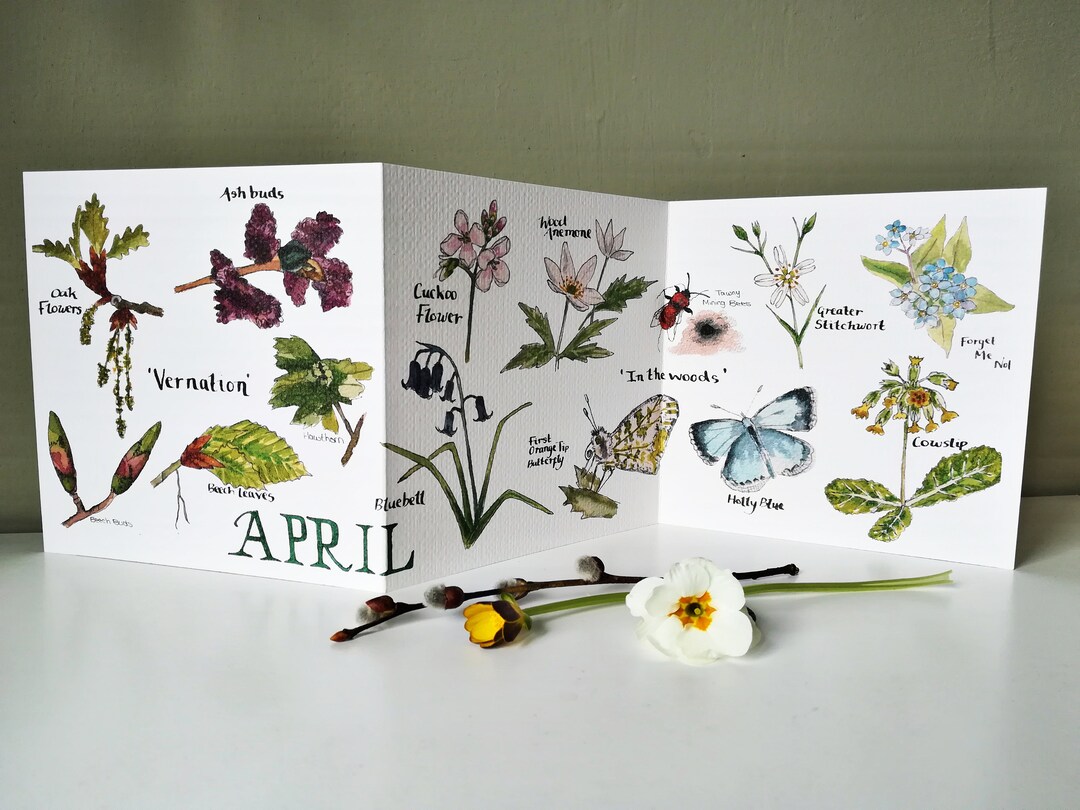 April Nature Journaling Concertina Card April Nature Card April ...