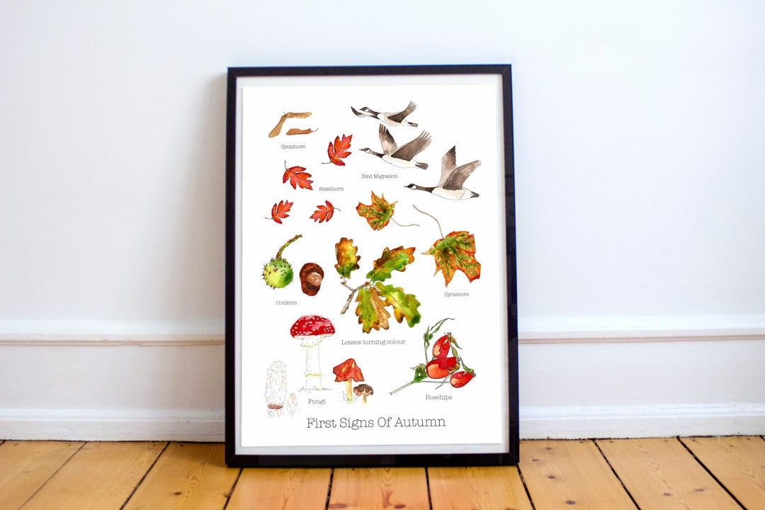 First Signs of Autumn A4 Print • Watercolour Print • Nature Journal ...