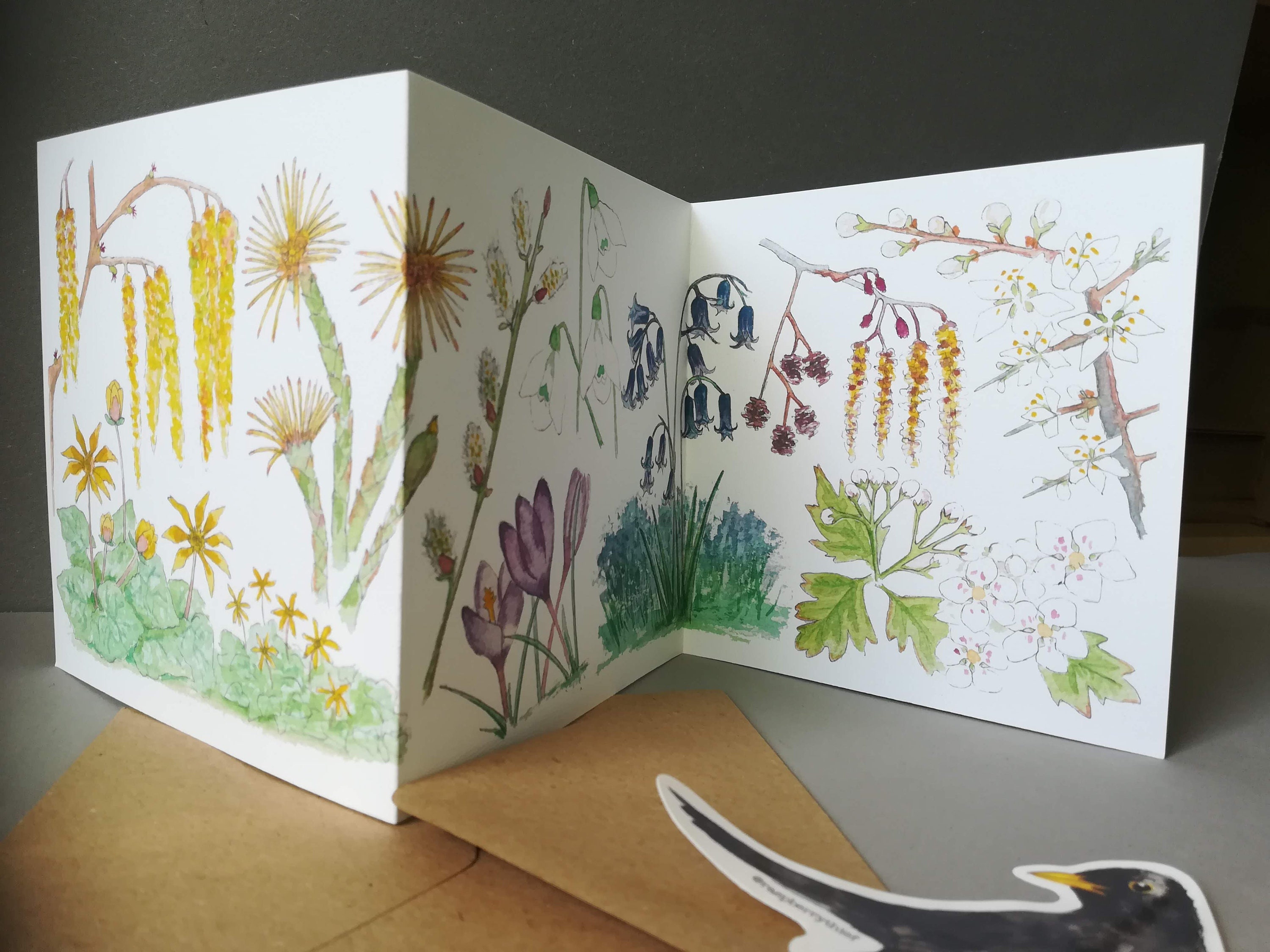 Spring Hope Concertina Card Spring Nature Card Wildflowers - Etsy UK