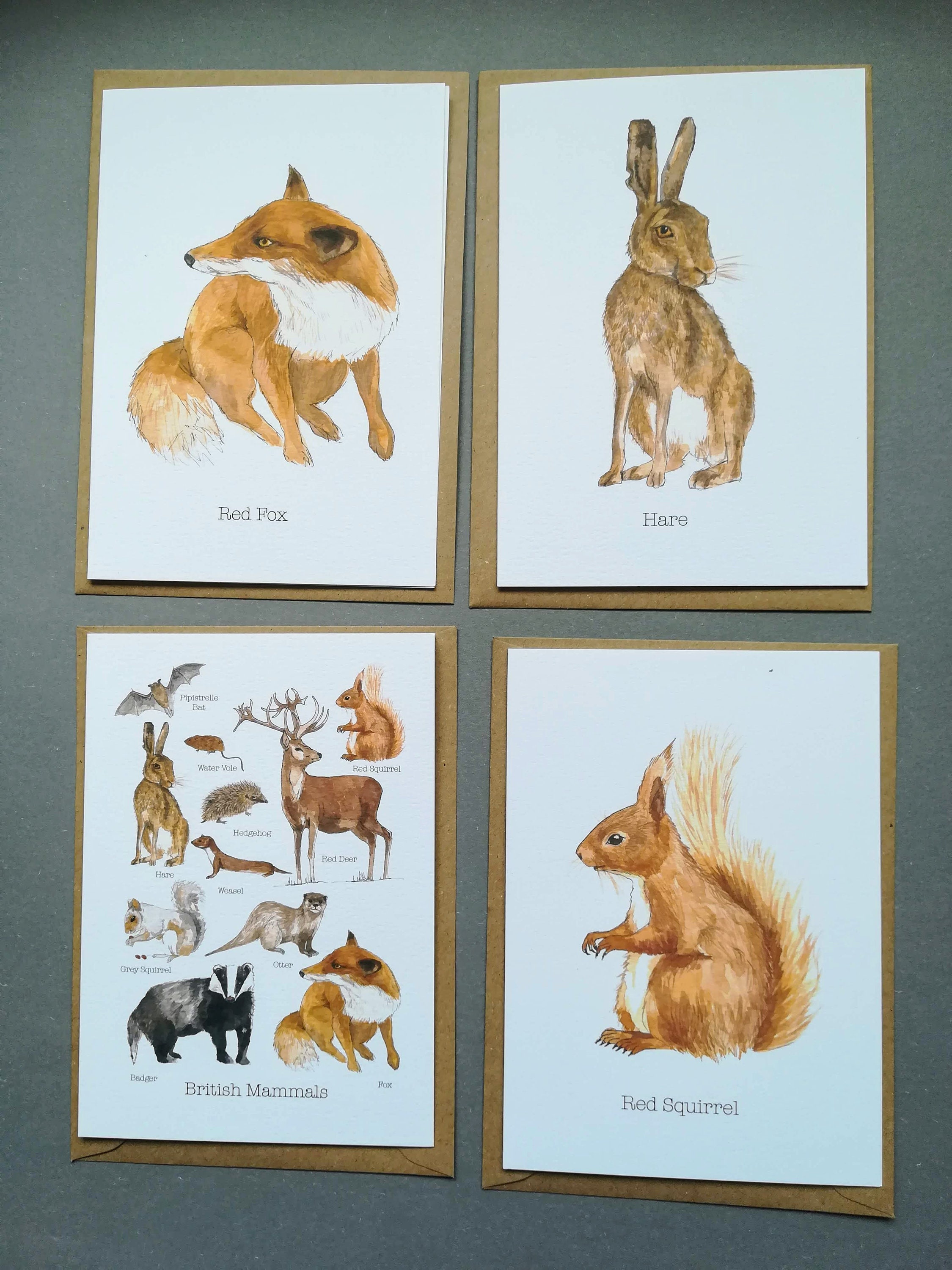 Pack of 10 Nature Greetings Cards Nature Birthday Cards | Etsy