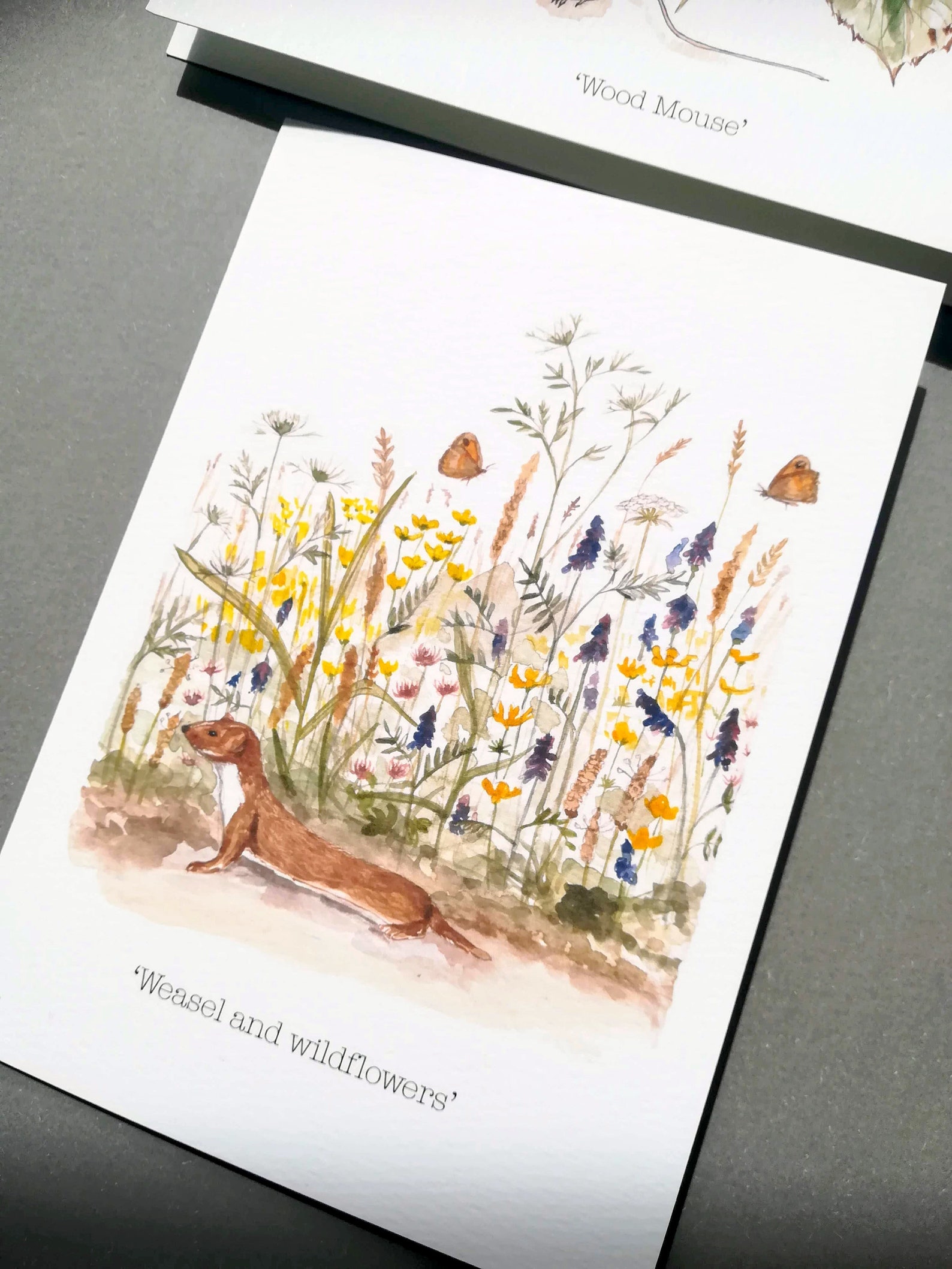 Pack of 10 Nature Greetings Cards Nature Birthday Cards | Etsy UK