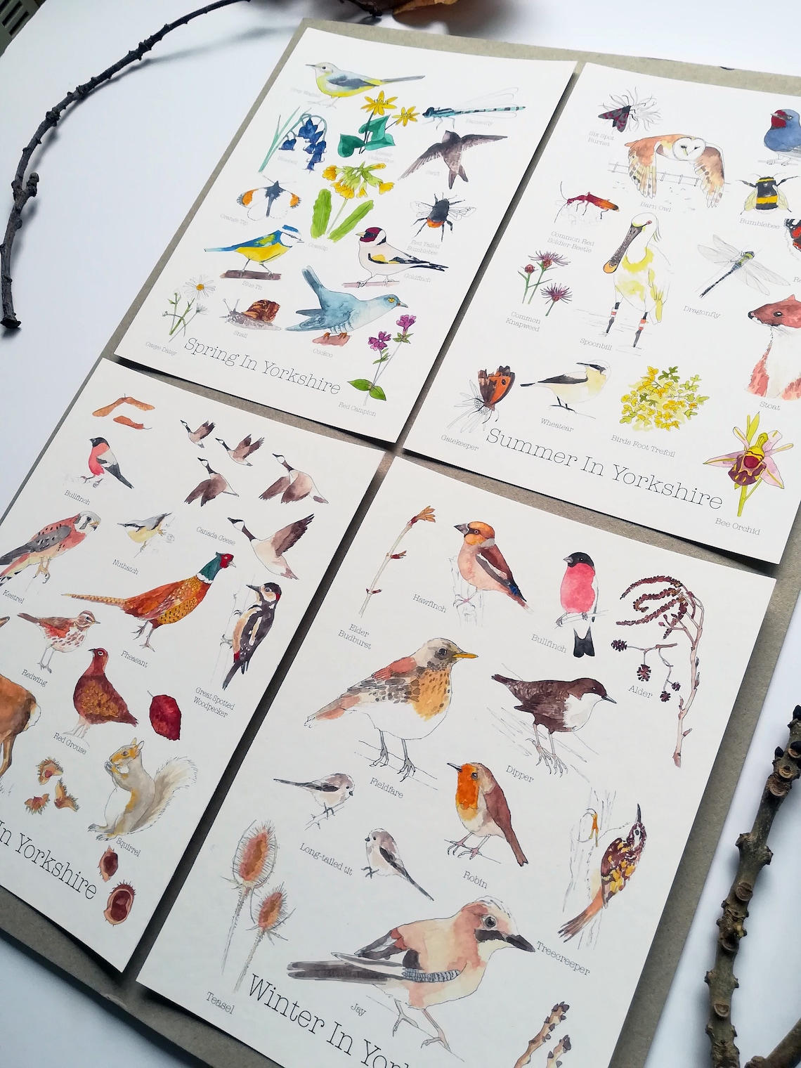 Pack of 10 Nature Greetings Cards Nature Birthday Cards | Etsy UK