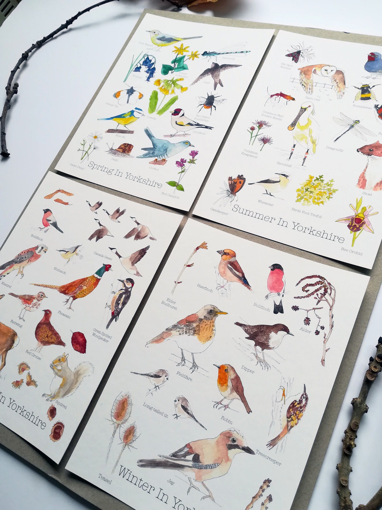 Pack of 10 Nature Greetings Cards Nature Birthday Cards | Etsy UK