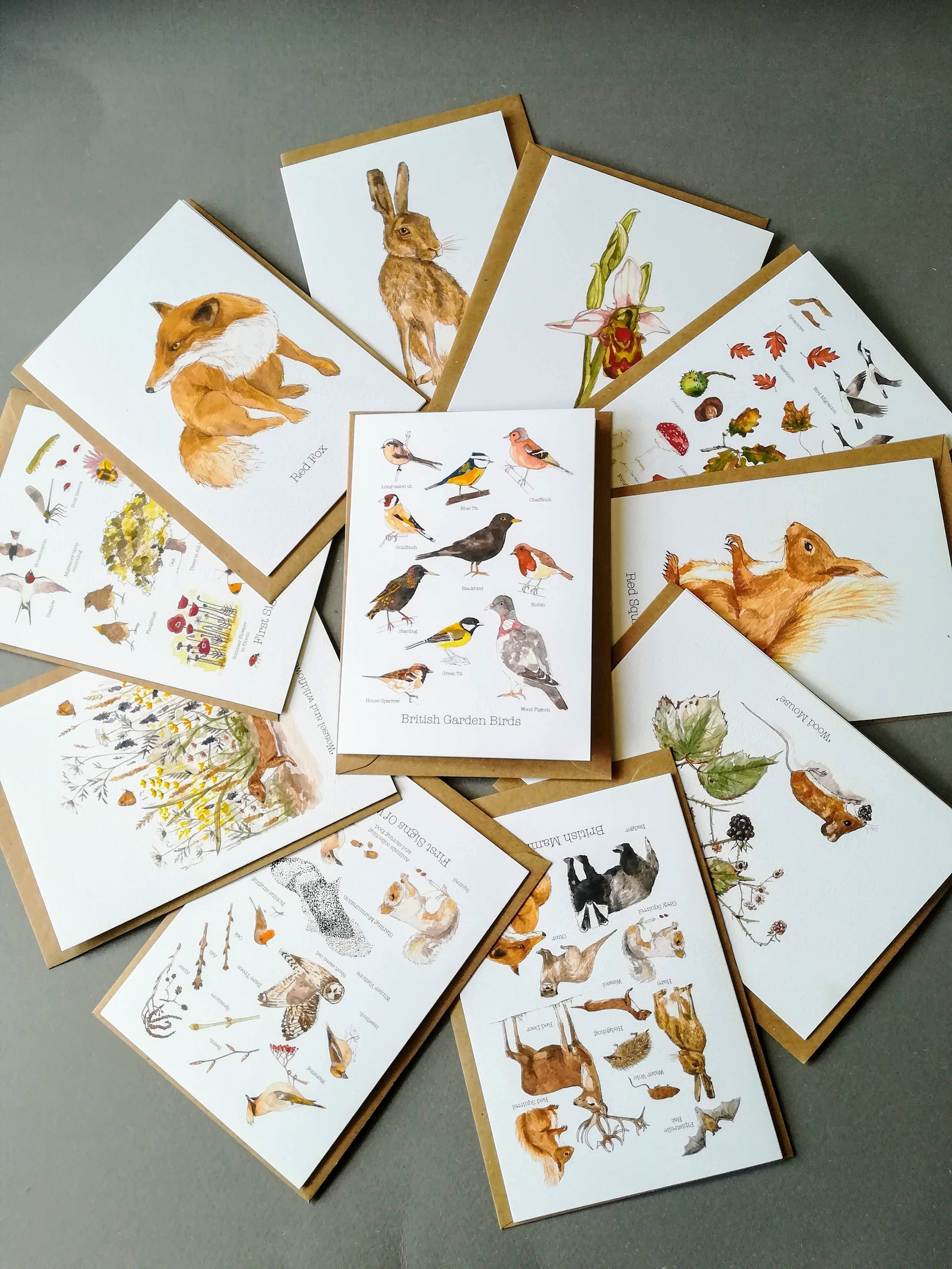 Pack of 10 Nature Greetings Cards Nature Birthday Cards | Etsy UK
