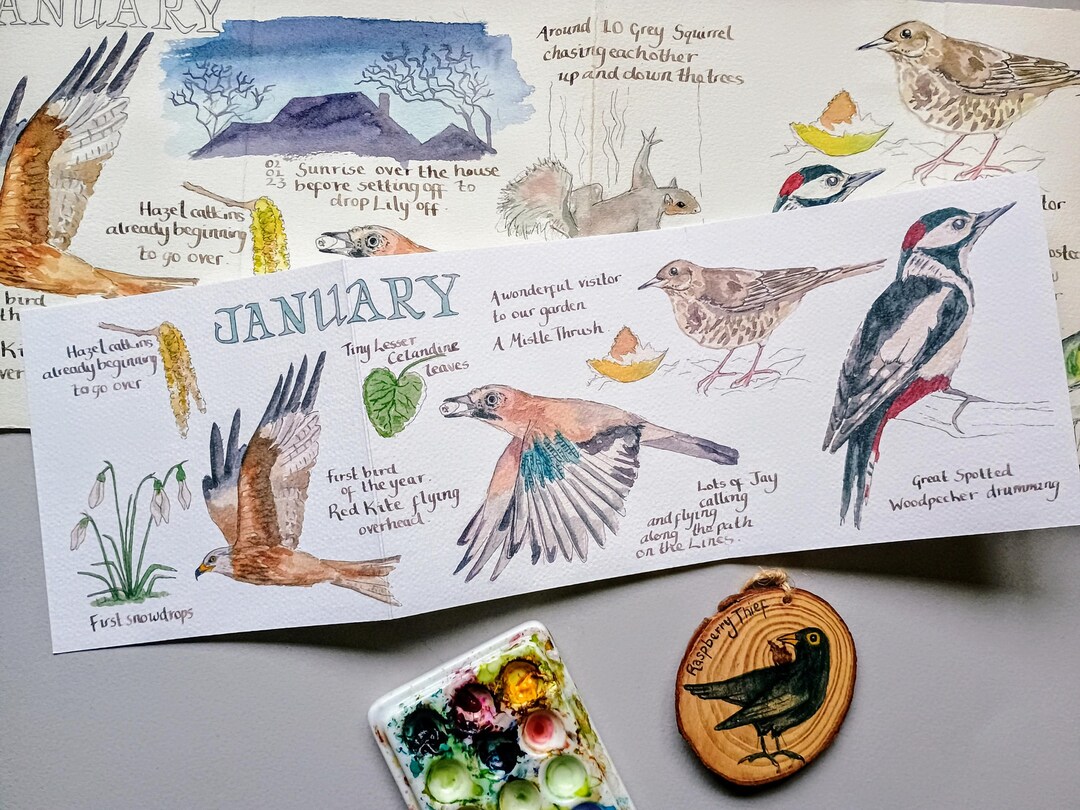January Nature Journaling Concertina Card January Nature Card January ...