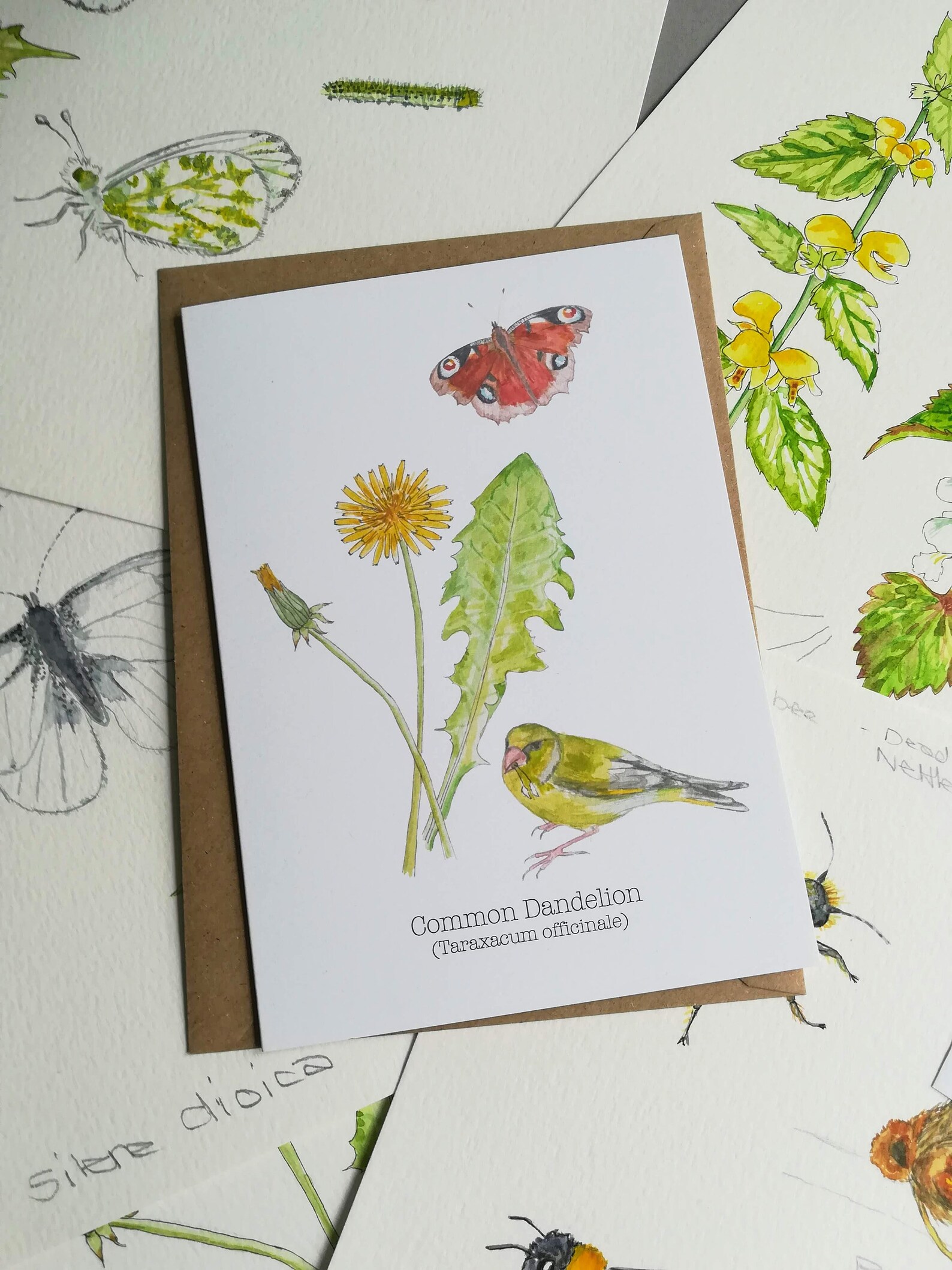 Pack of 4 Nature Cards From My 'everything is Connected - Etsy