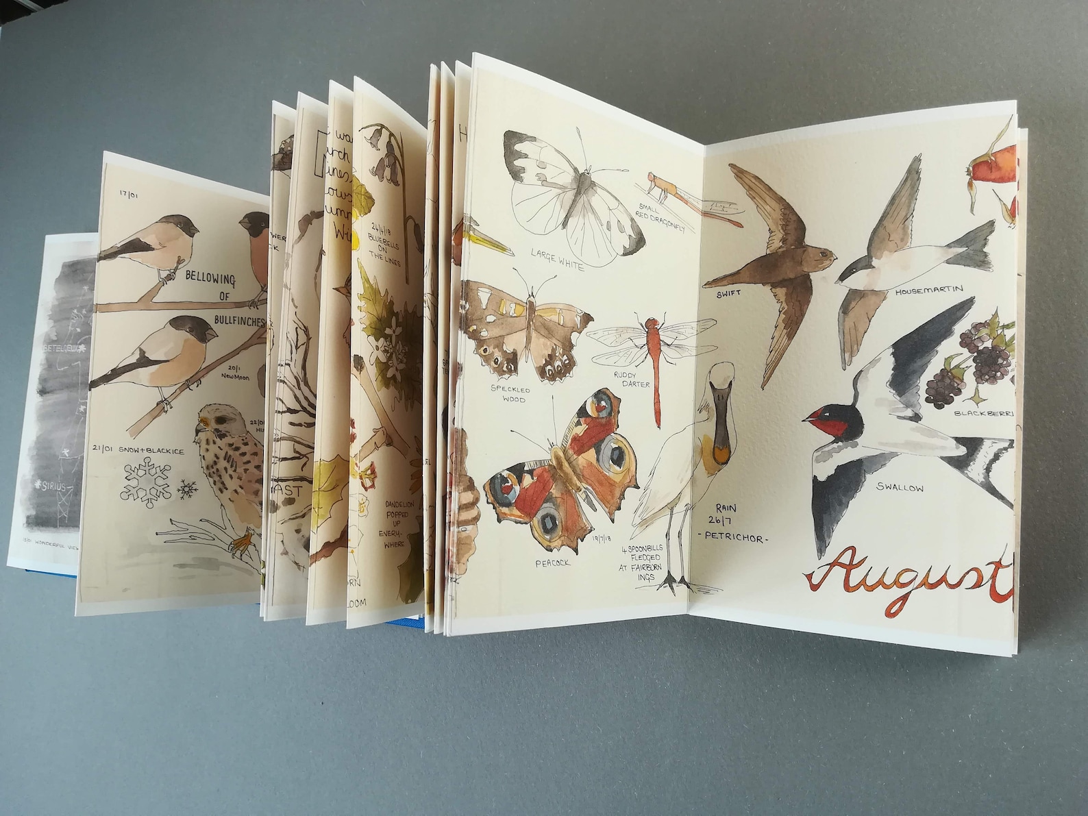 Handmade Nature Journal Book 2018 Nature Journal Nature - Etsy