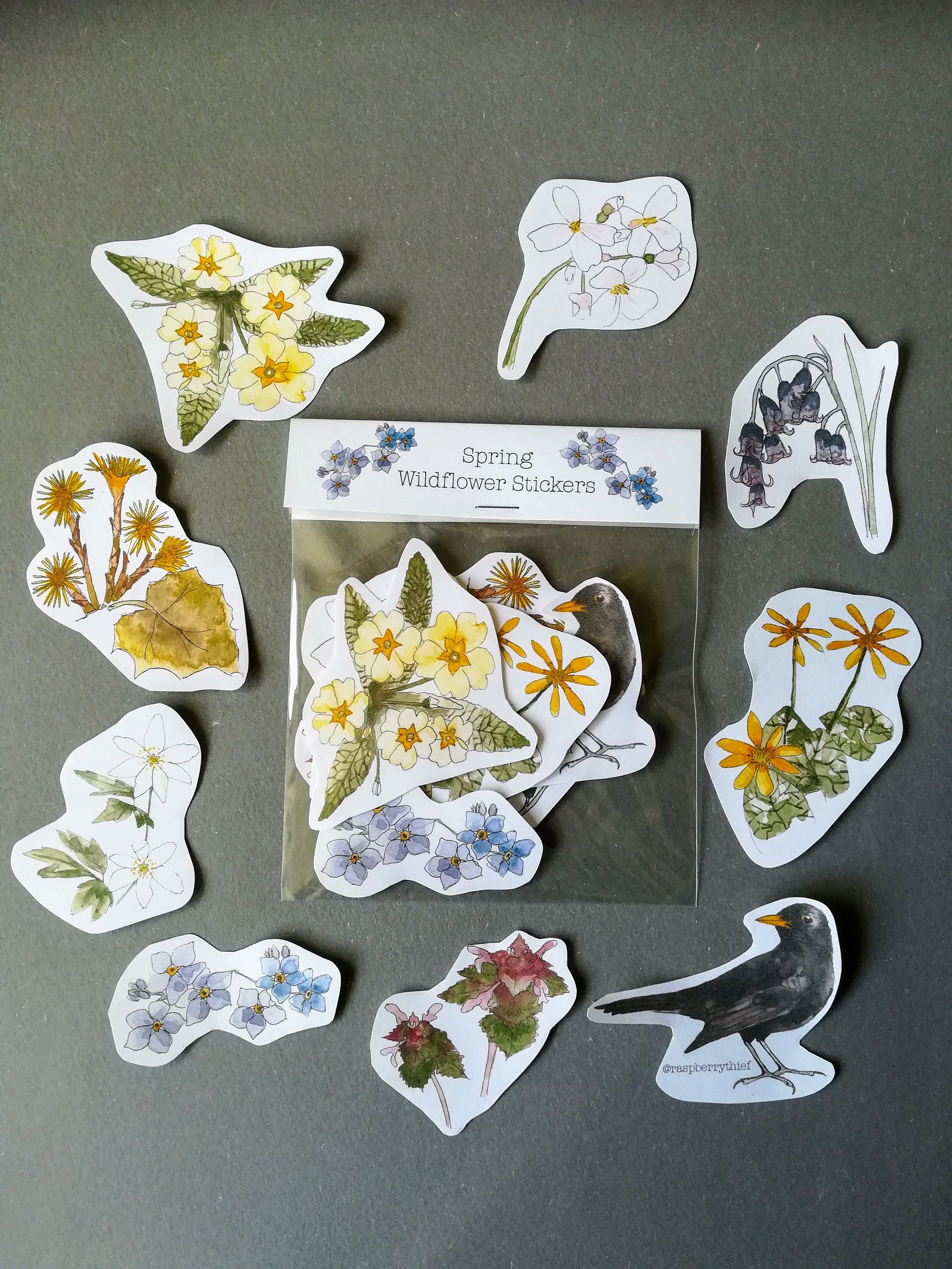 Spring Wildflower Stickers Pack of 9 Nature Stickers - Etsy