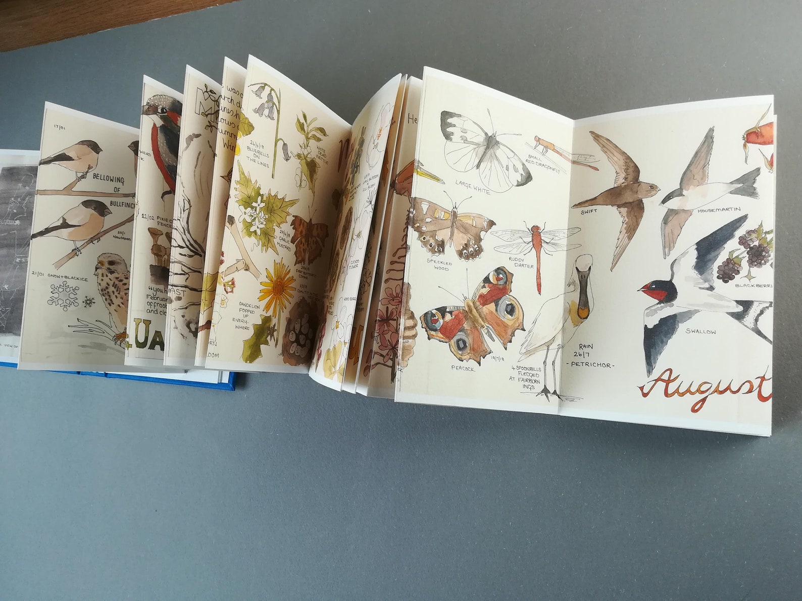 Handmade Nature Journal Book 2018 Nature Journal Nature - Etsy