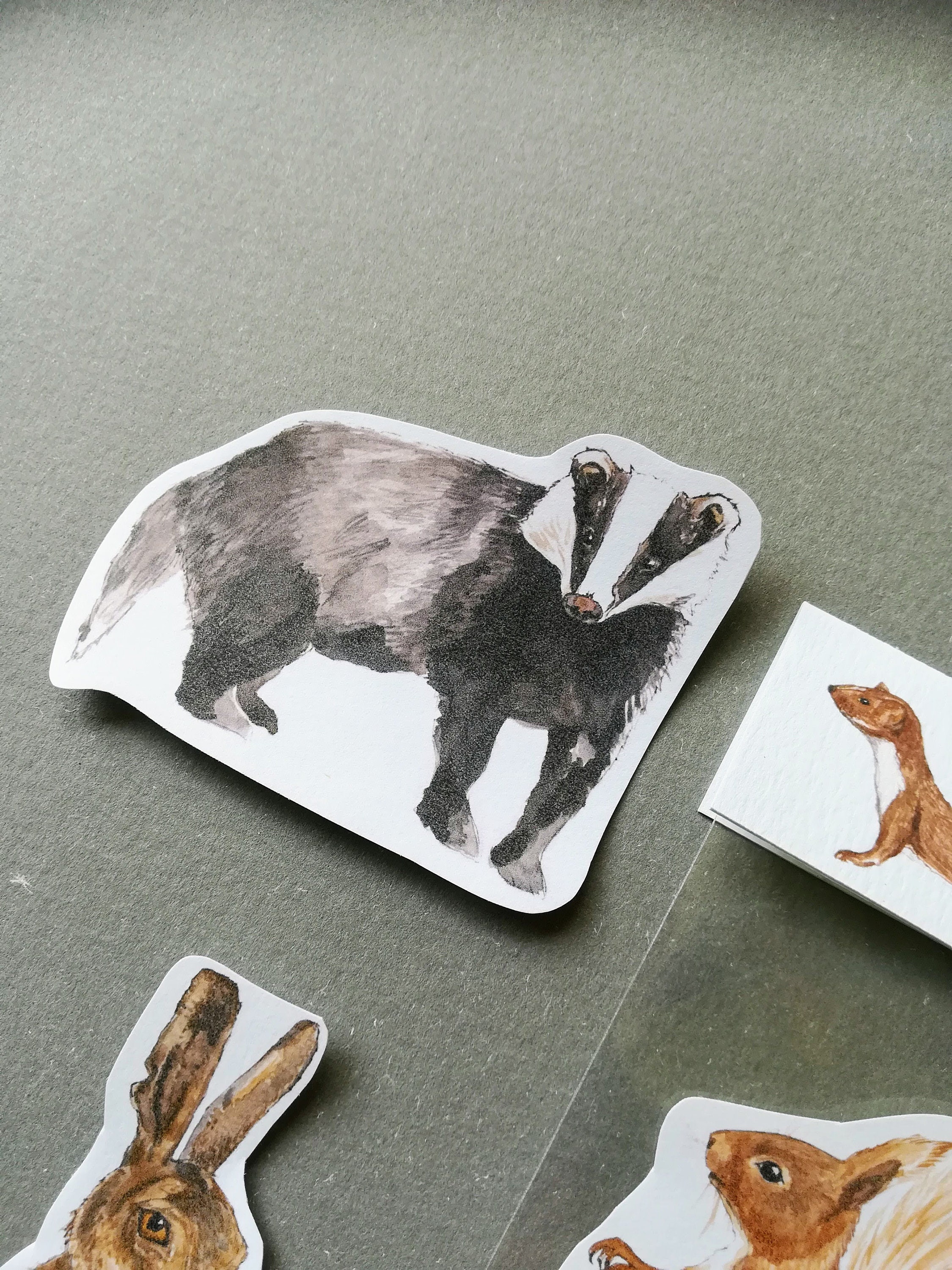 British Mammal Stickers: Watercolor Nature Stickers, Eco-friendly Set ...