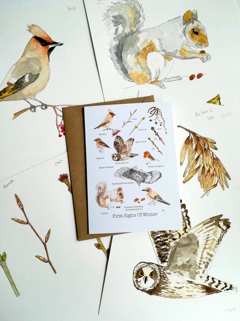 First Signs of Winter Greetings Card Nature Lovers Card | Etsy