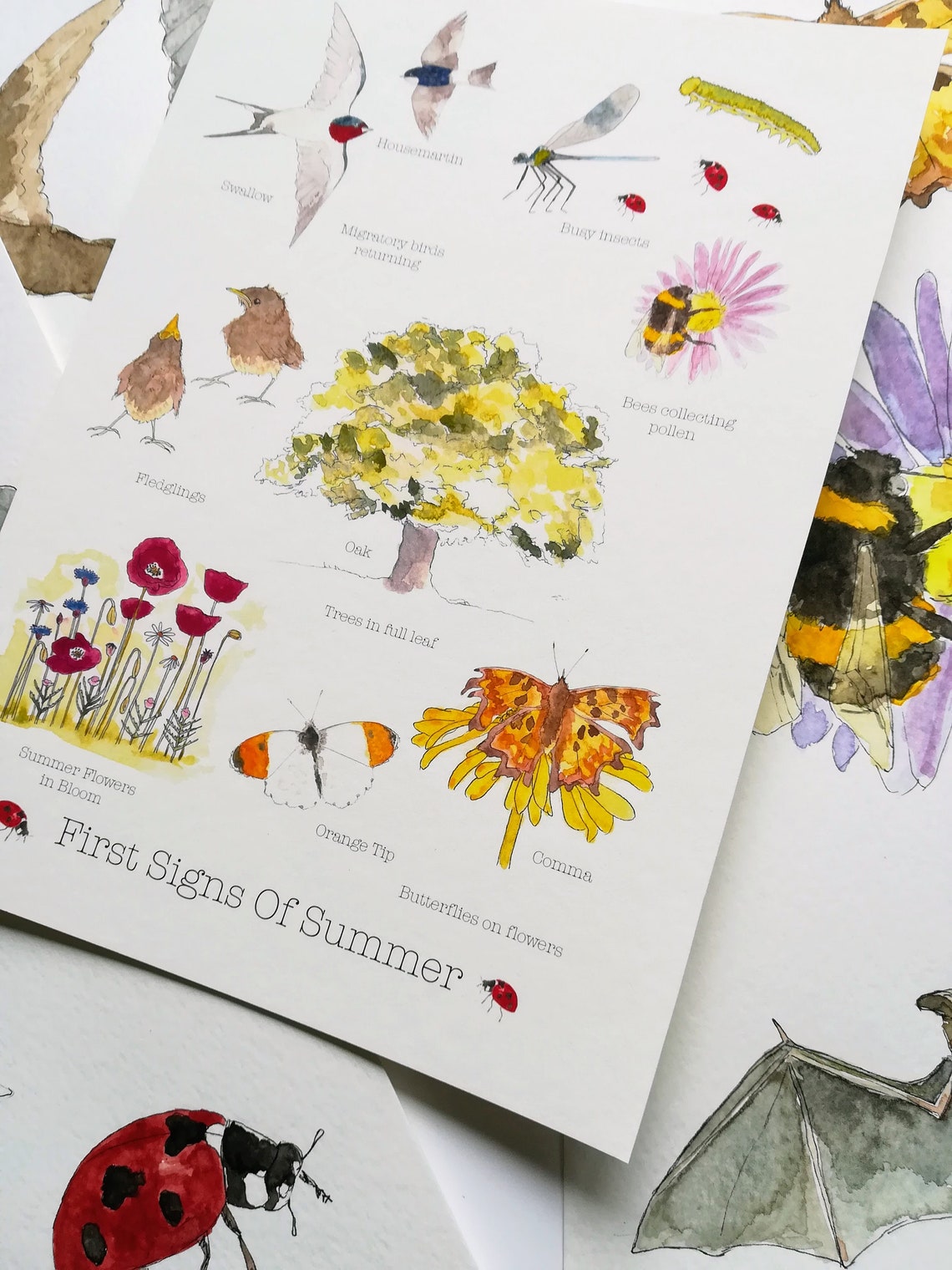 First Signs of Summer A5 Print Nature Print Seasons Poster - Etsy