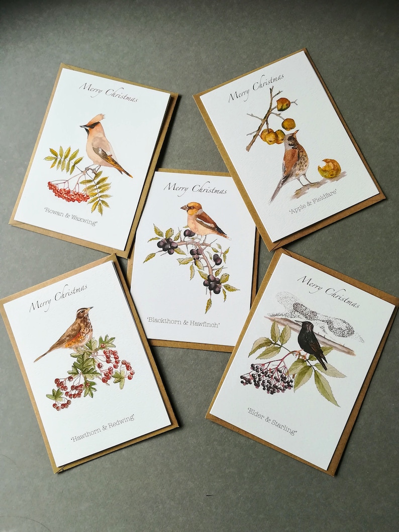 Pack of 10 Nature Greetings Cards Nature Birthday Cards | Etsy UK