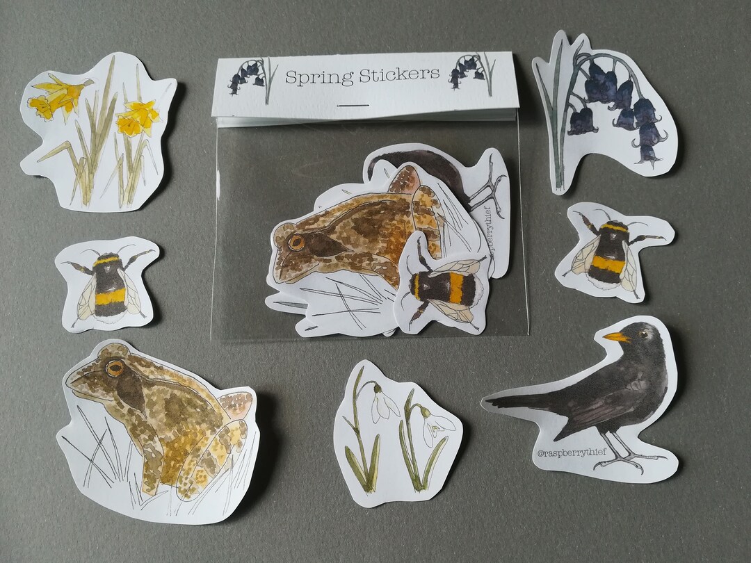 Spring Wildlife and Flower Stickers • Pack of 7 Nature Stickers • Bird ...