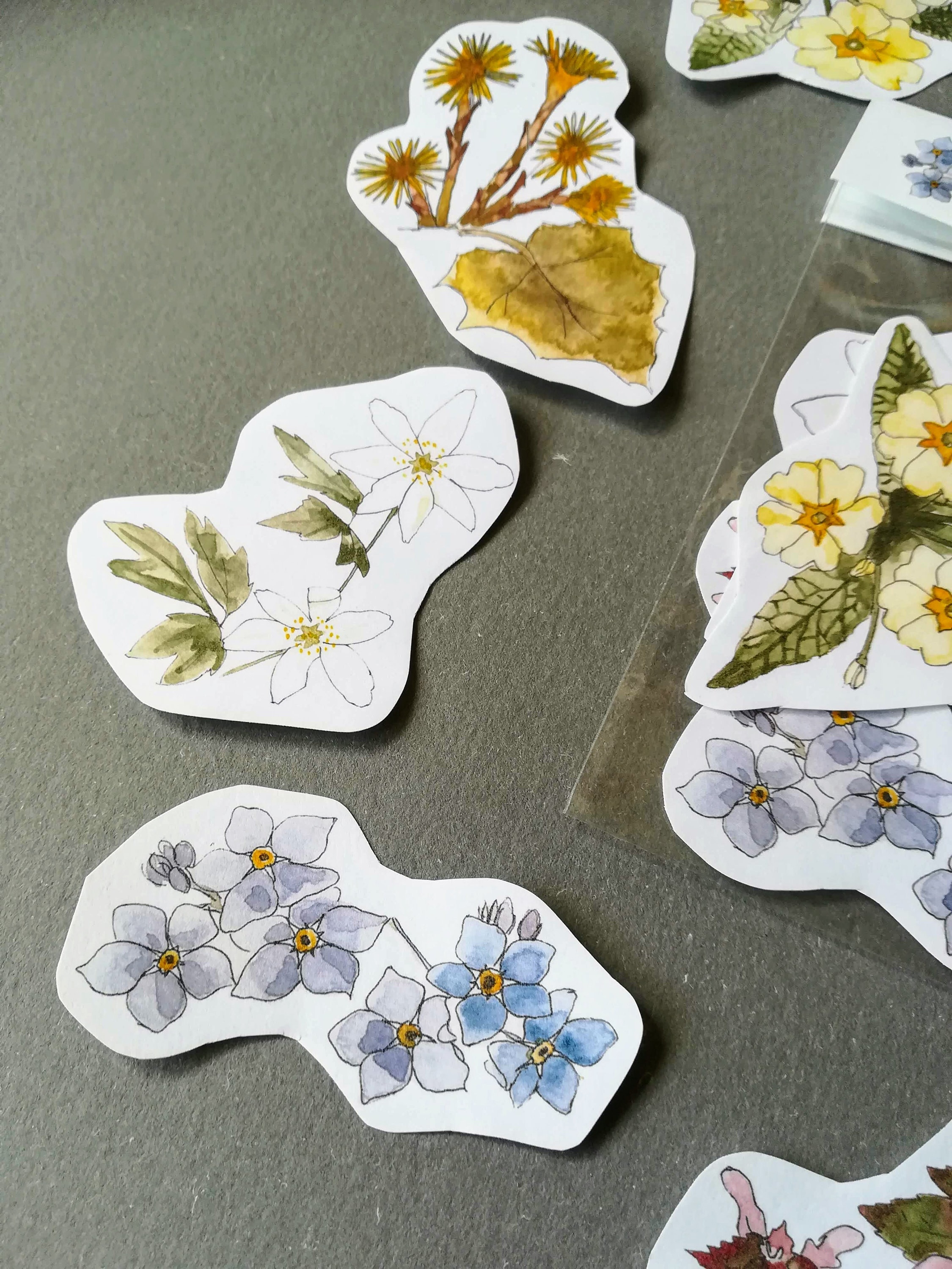 Spring Wildflower Stickers Pack of 9 Nature Stickers - Etsy