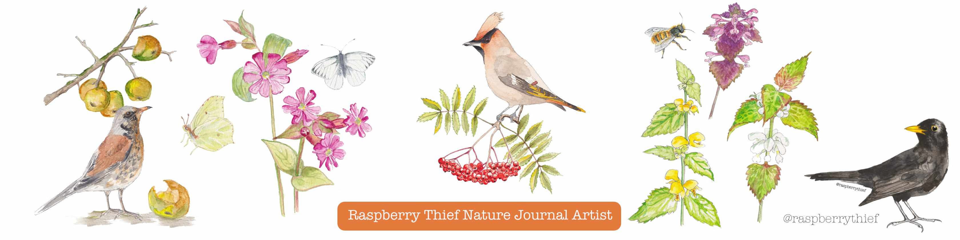 Raspberrythief - Etsy UK