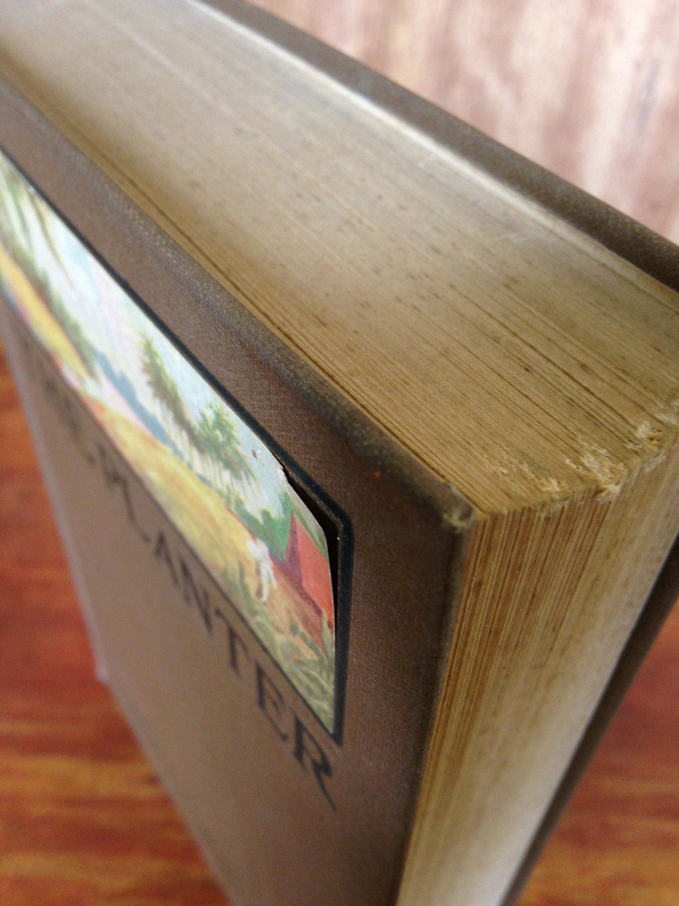 The Planter First Edition 1909 Herman Whitaker - Etsy